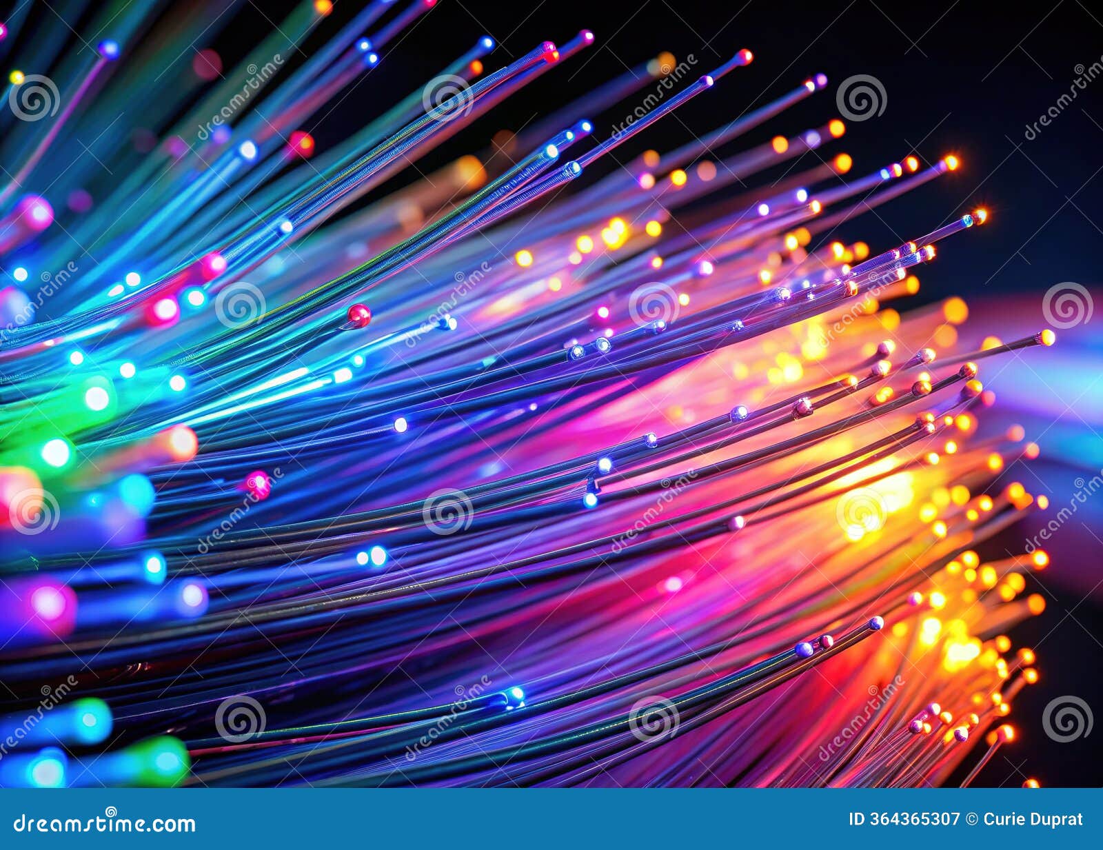 Landscape Drastically Altered By The Aggressive Spread Of Invasive ...