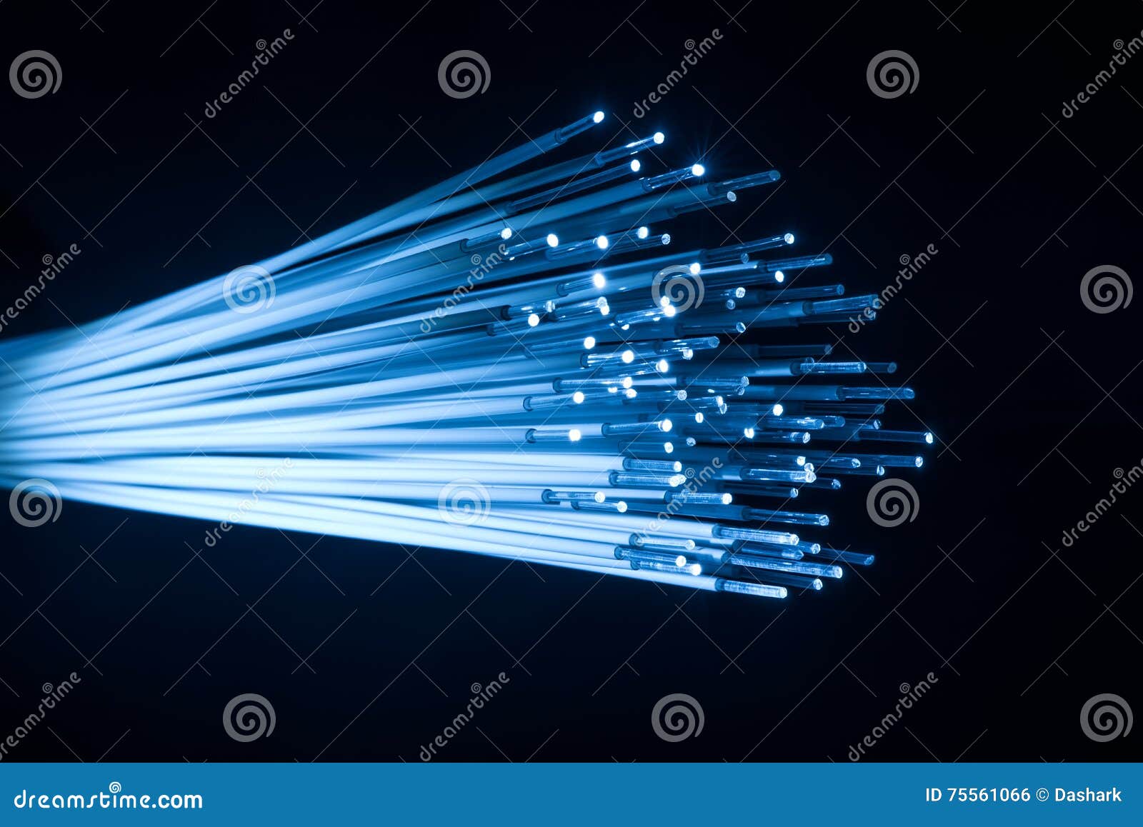 Fiber Optic for Communication Stock Photo - Image of contact, internet ...