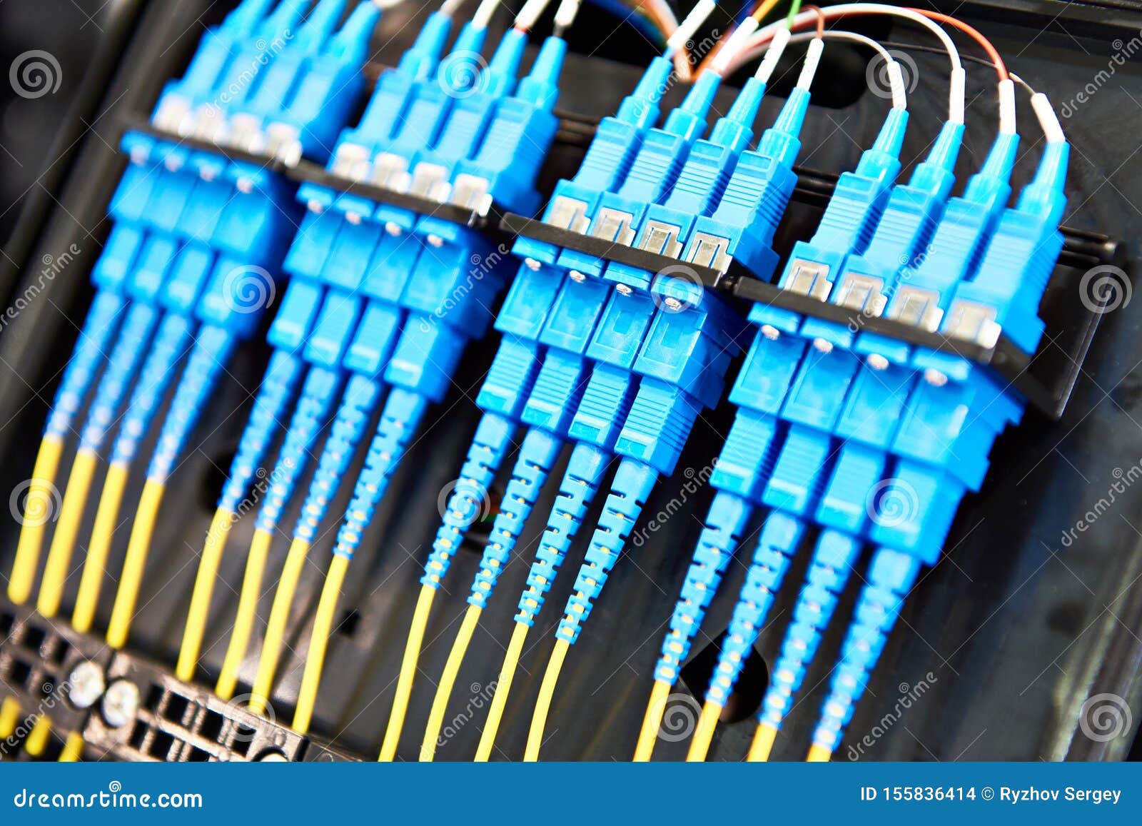 Fiber Optic Connectors Cable Stock Photo - Image of data, connector ...