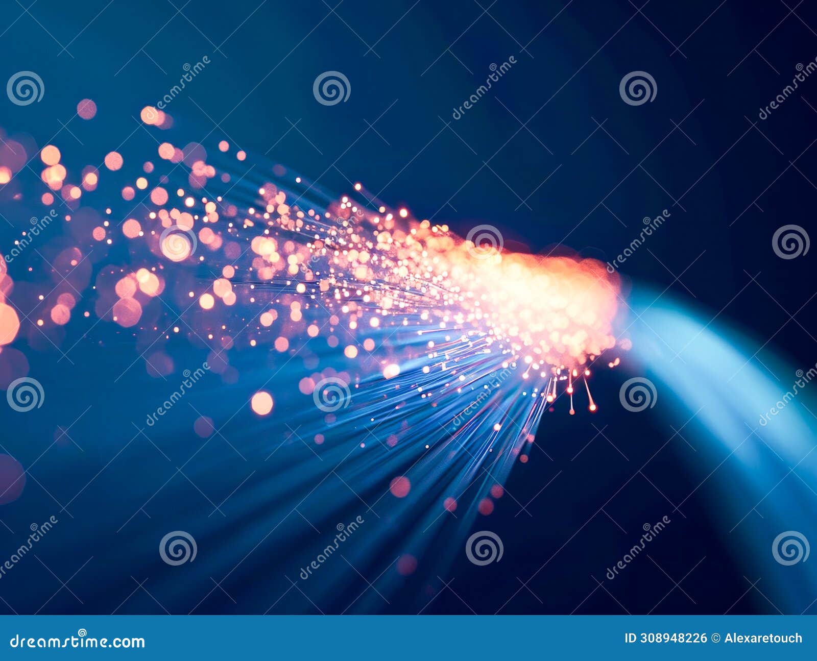 Fiber Optic Data Transmission Stock Photo - Image of internet, cables ...