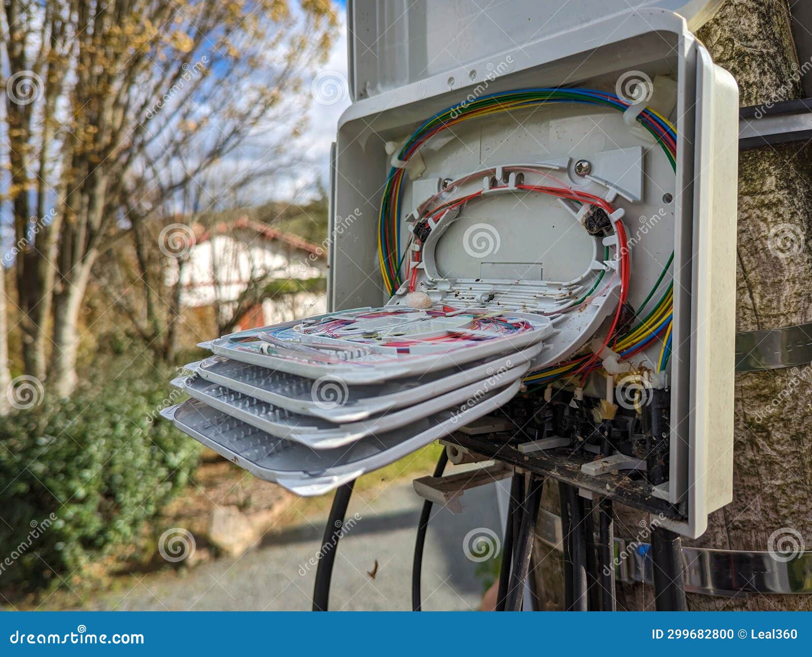 The Fiber Optic Distribution Box for Operation and Cleaning Stock Photo ...