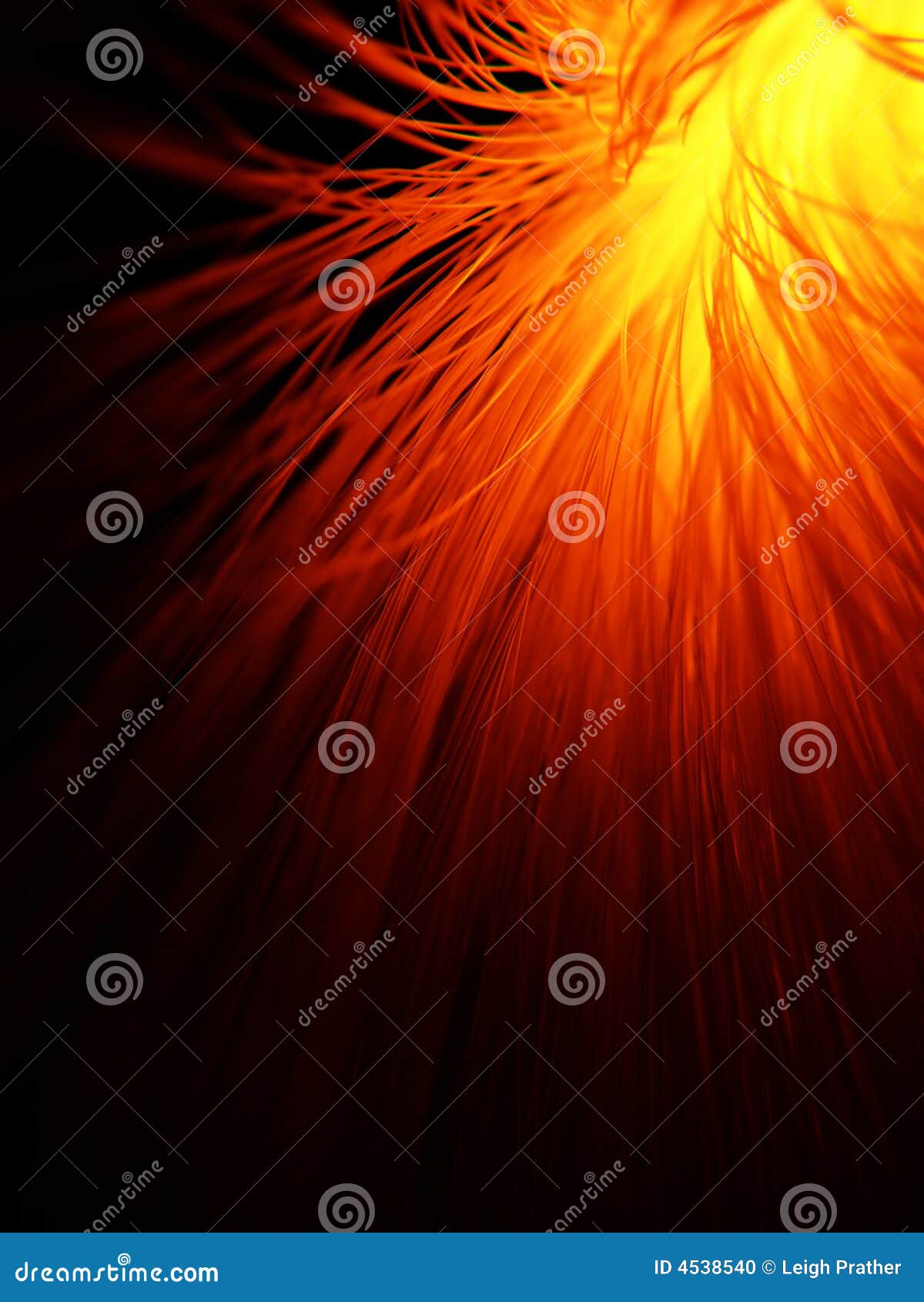 Fiber optic in fire red stock photo. Image of digital - 4538540