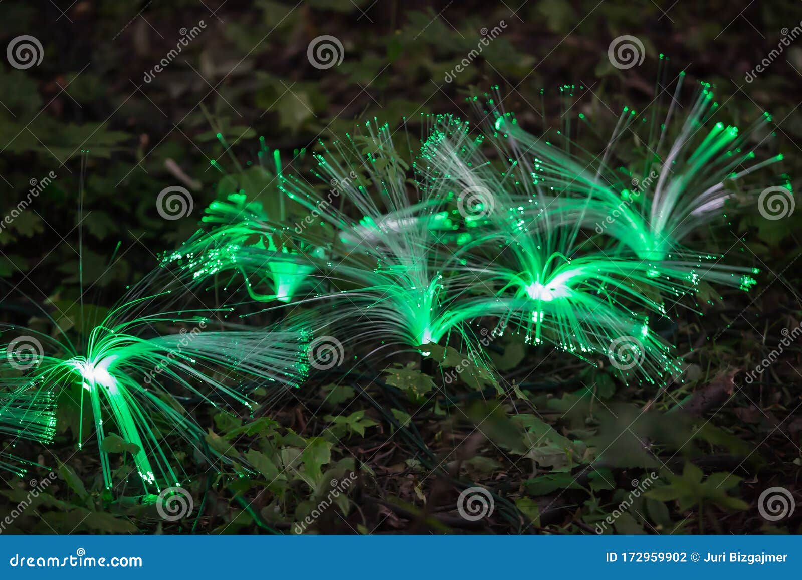 Fiber optic lamps at night stock photo. Image of illuminated - 172959902