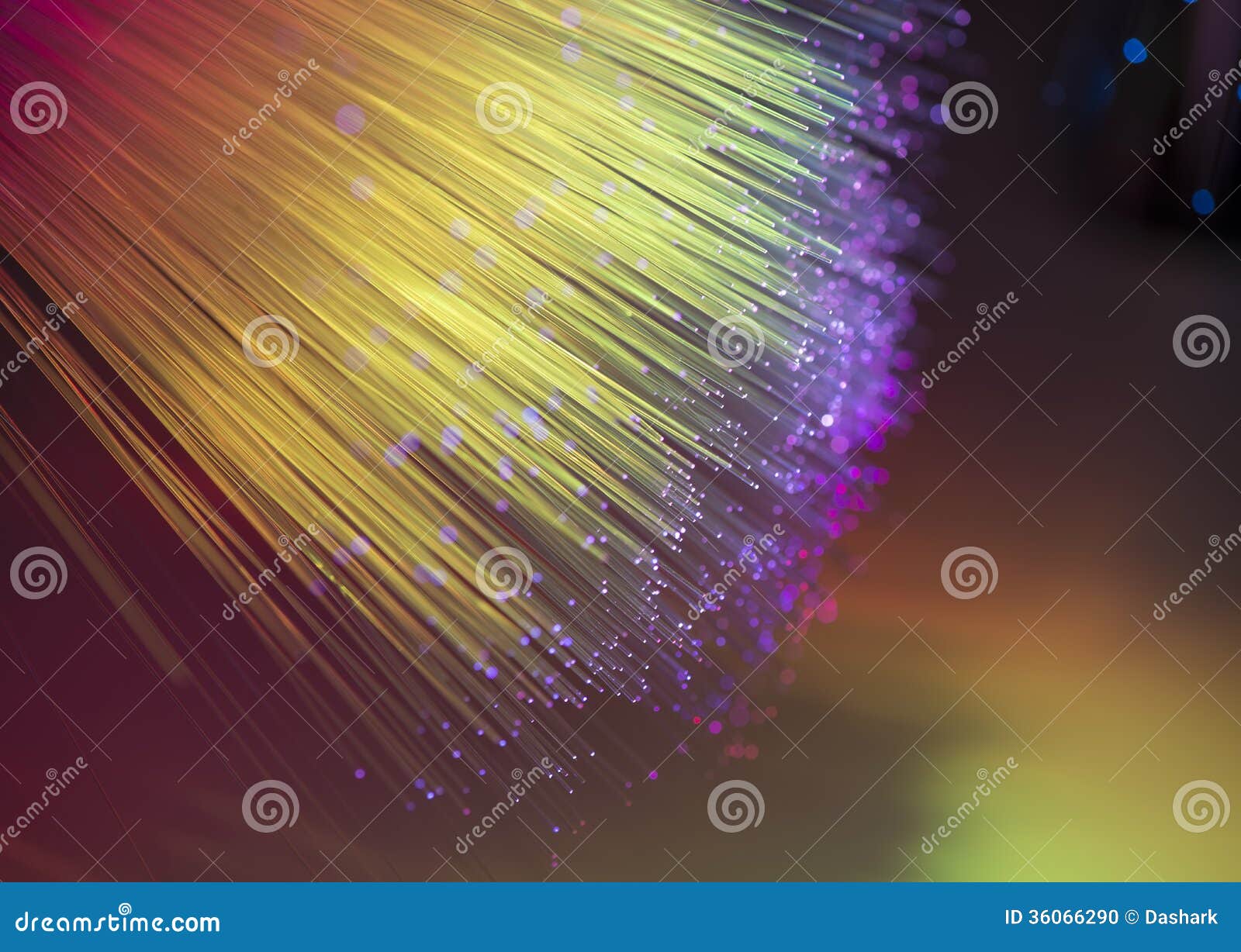 Fiber Optical Network Cable Stock Photo - Image of hitech, network ...