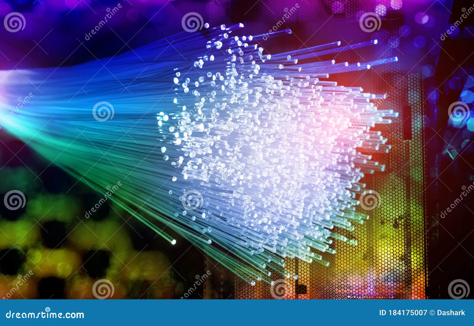 Fiber Optical Network Cable Stock Image - Image of optical, speed ...