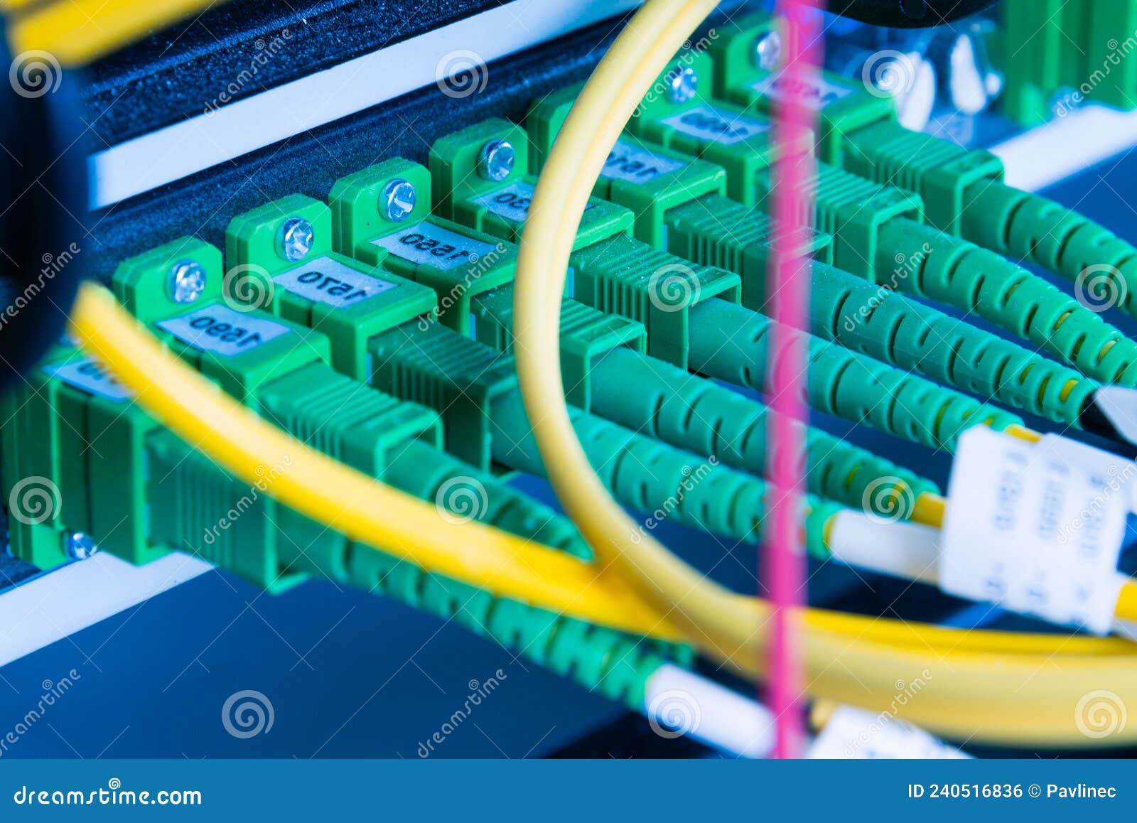 Fiber Optics Cables Connected To Ports Stock Photo - Image of link ...