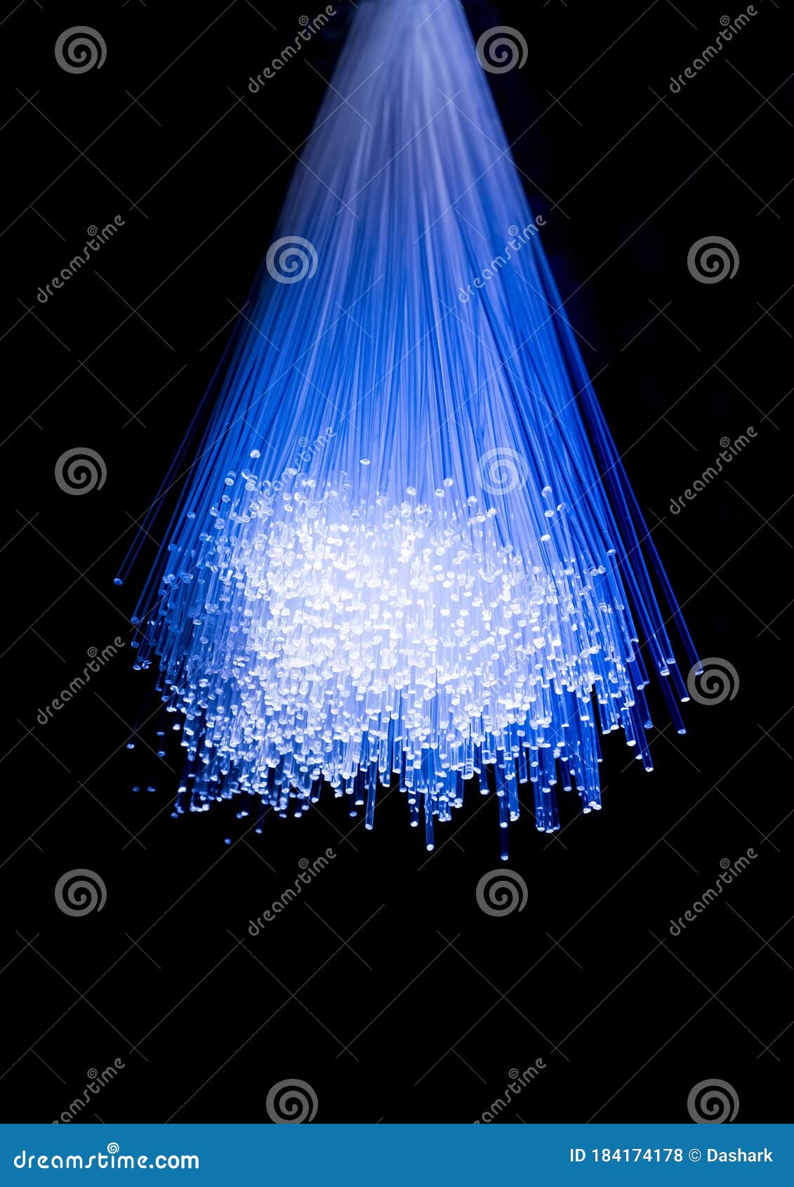 Fiber optics network cable stock photo. Image of communication - 184174178