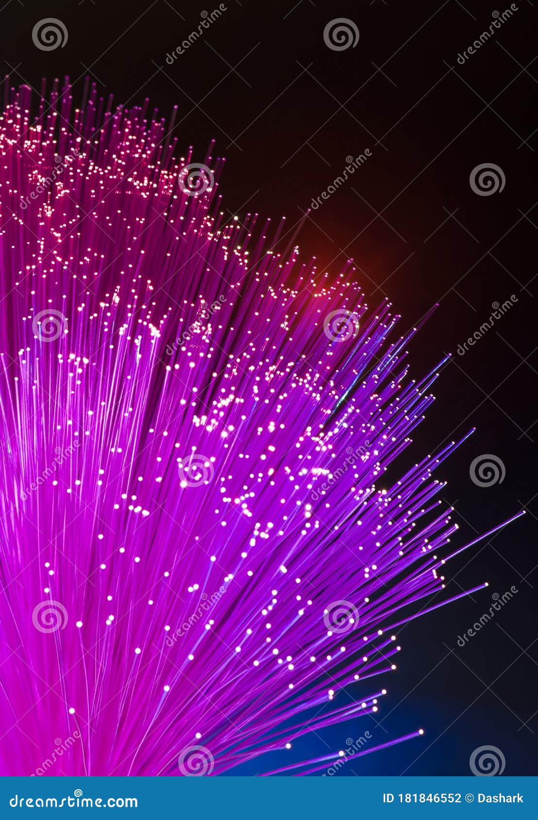 Fiber optics network cable stock photo. Image of background - 181846552