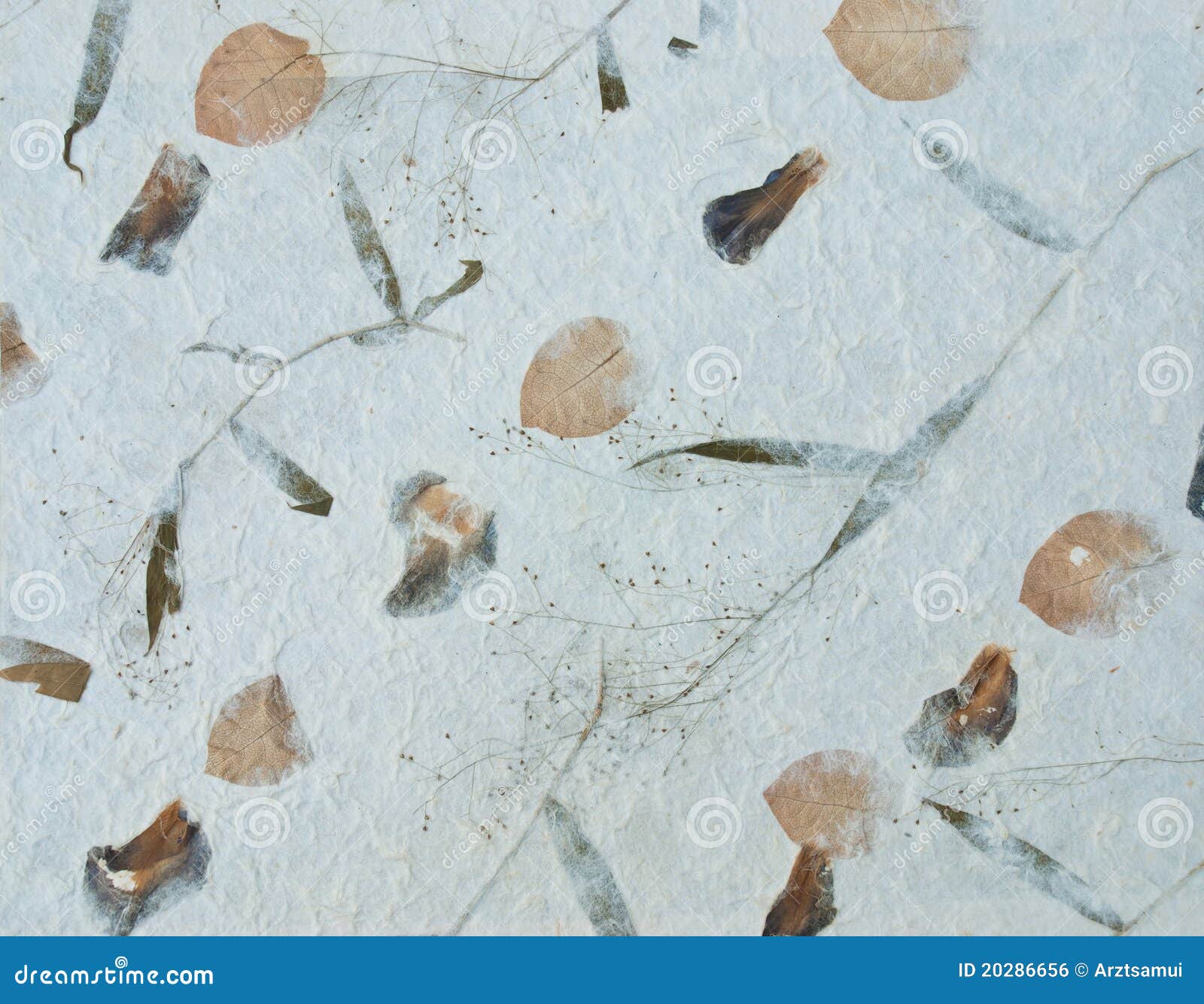 Fiber paper texture stock photo. Image of sheeting, pulp - 20286656