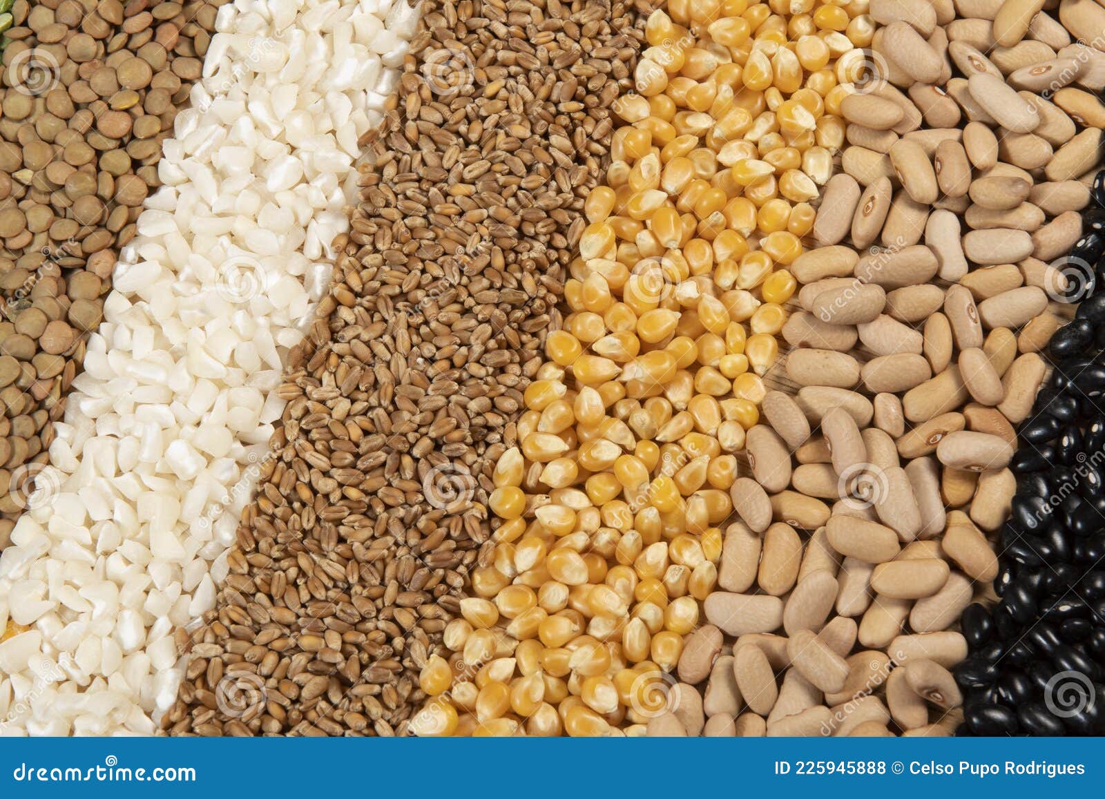 Fiber source examples stock photo. Image of healthy - 225945888
