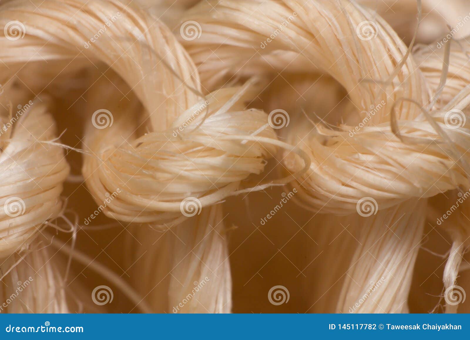 Plant Fiber Texture Pattern Macro View Stock Photo - Image of bright ...