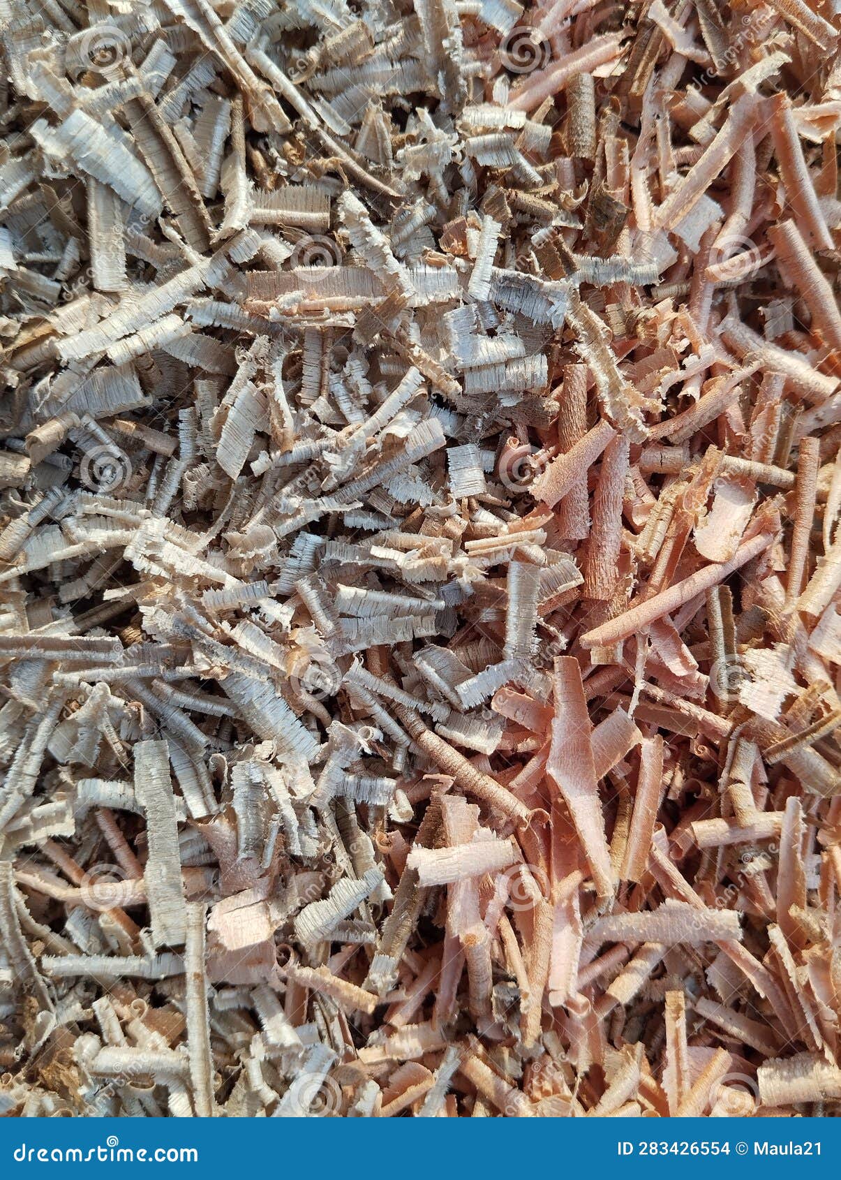 Fiber Waste from Shaved Wood Stock Photo - Image of shaved, fiber ...