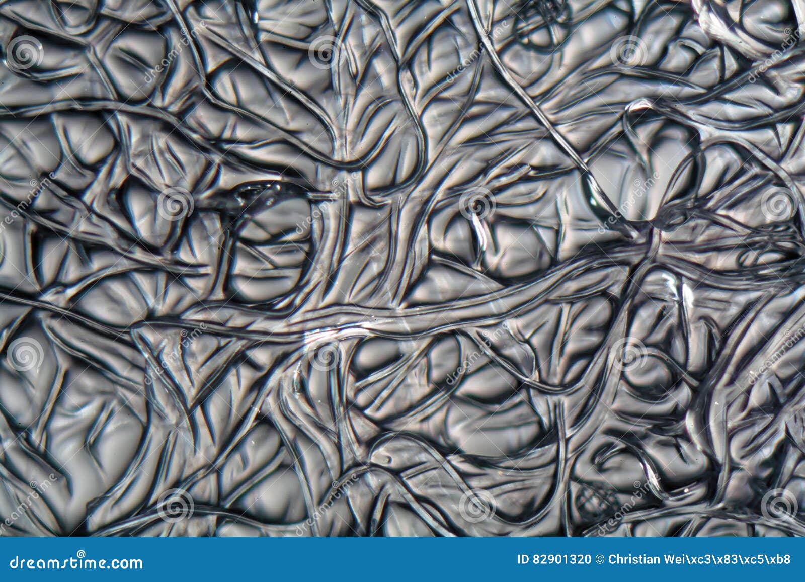 109 Fabric Under Microscope Stock Photos - Free & Royalty-Free Stock ...