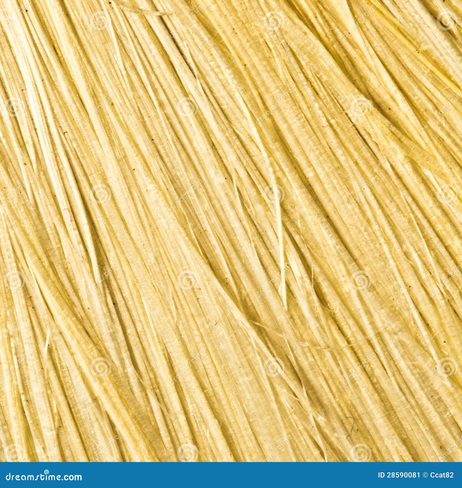 Fibers of wood stock image. Image of material, abstract - 28590081