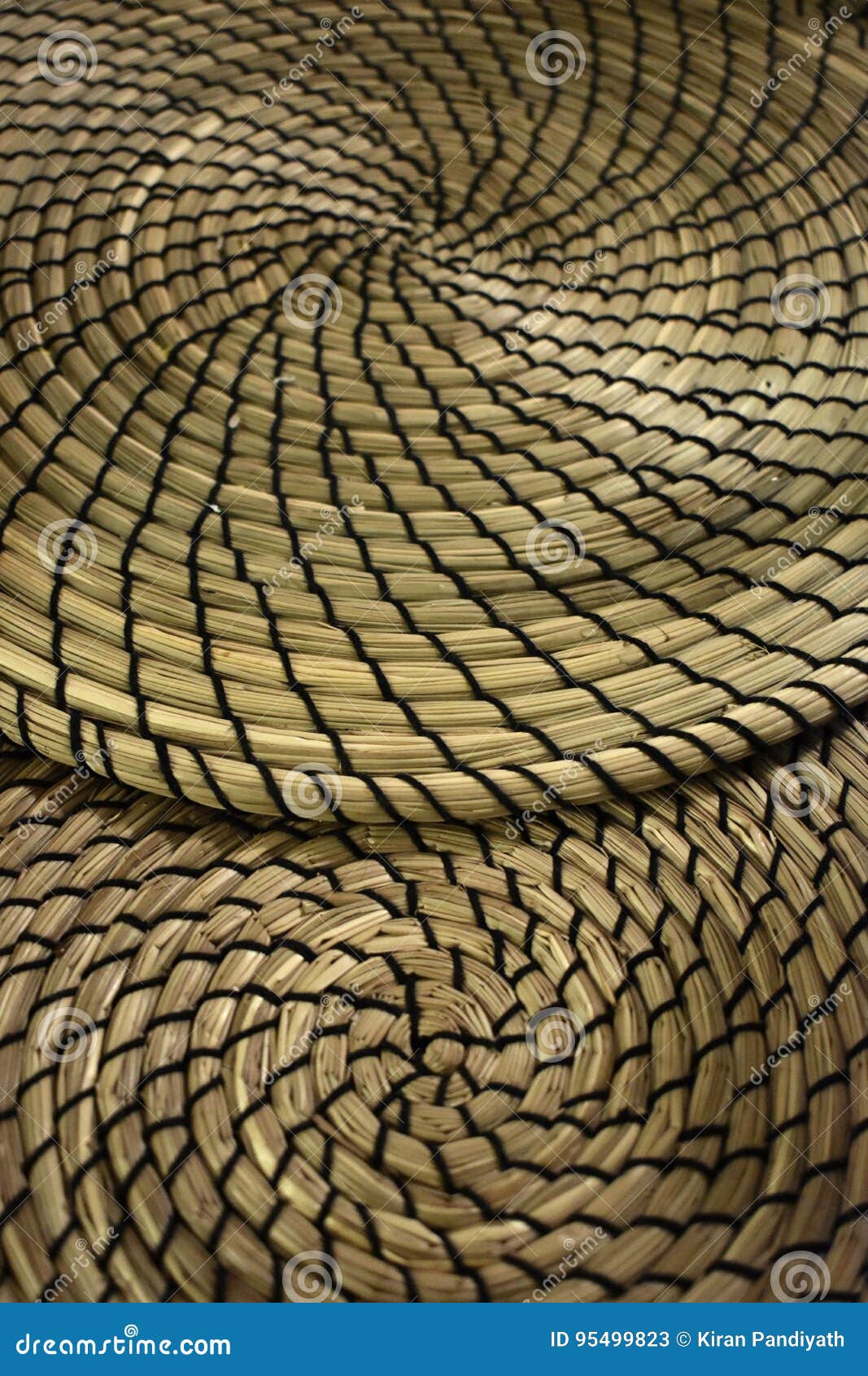 Fibonacci Multiple Contrasting Spirally Formed Dry Grass Mats Stock ...