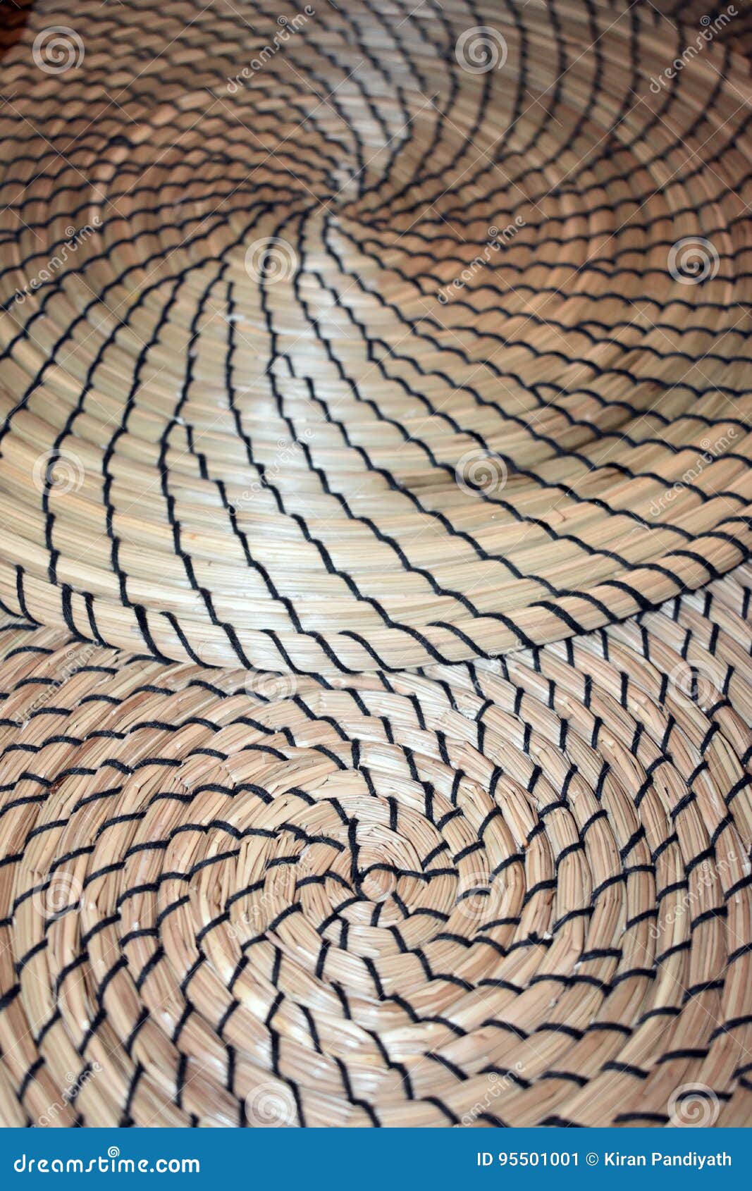 Fibonacci Multiple Contrasting Spirally Formed Dry Grass Mats Stock ...