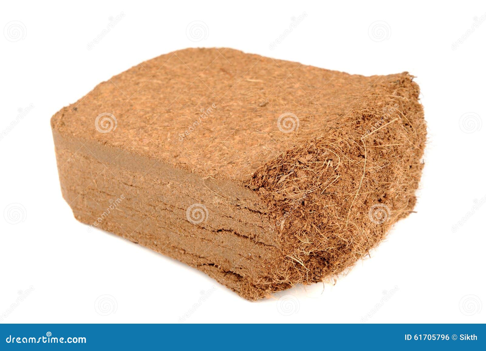 Fibra De Coco Do Coco Isolada No Fundo Branco Foto de Stock - Imagem de ...
