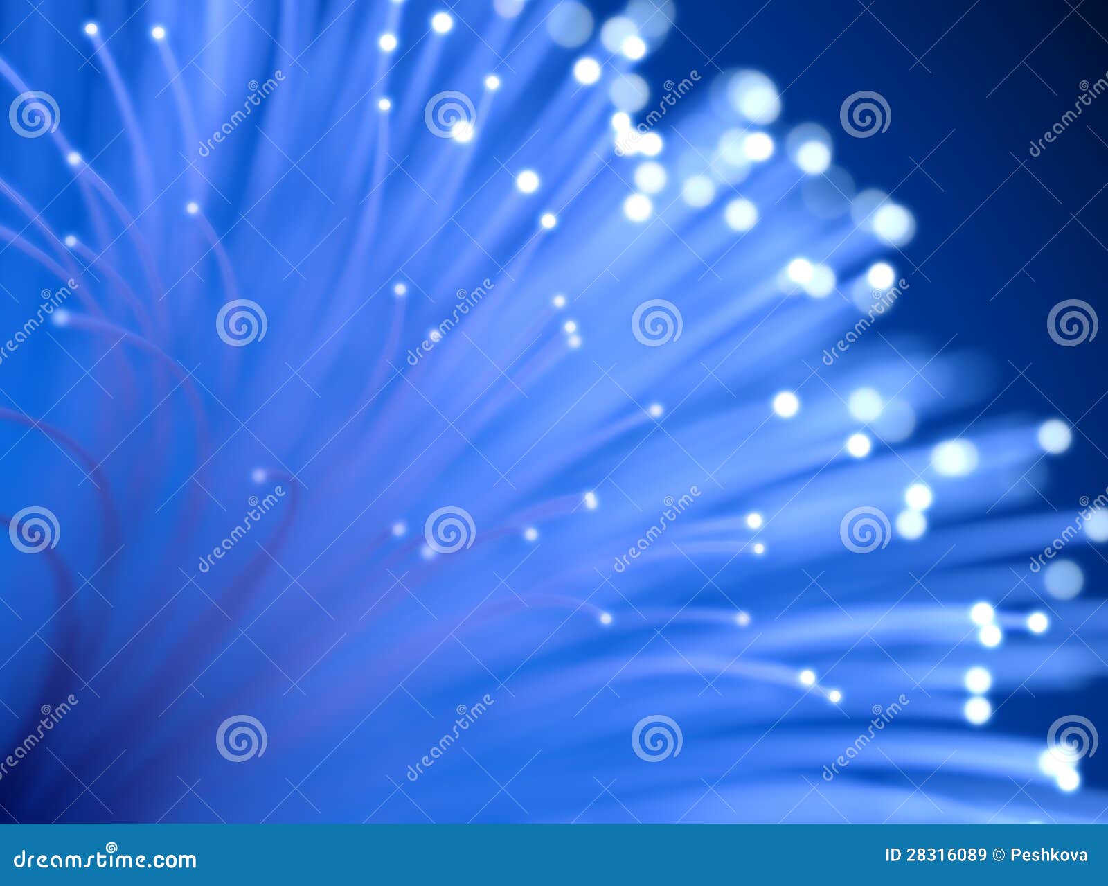 Fibra ottica immagine stock. Immagine di informazione - 28316089