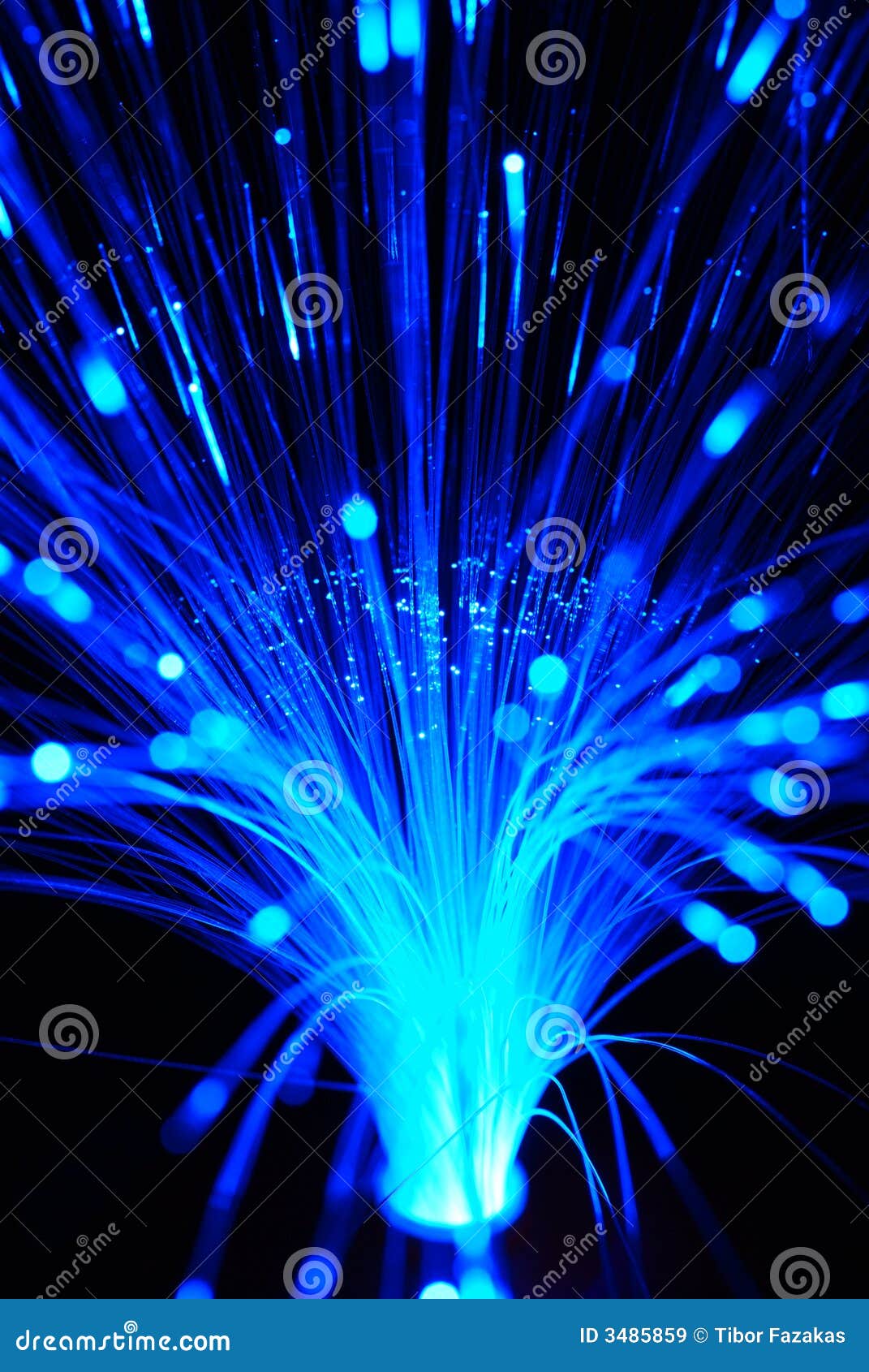 Fibra ottica immagine stock. Immagine di ottico, rete - 3485859