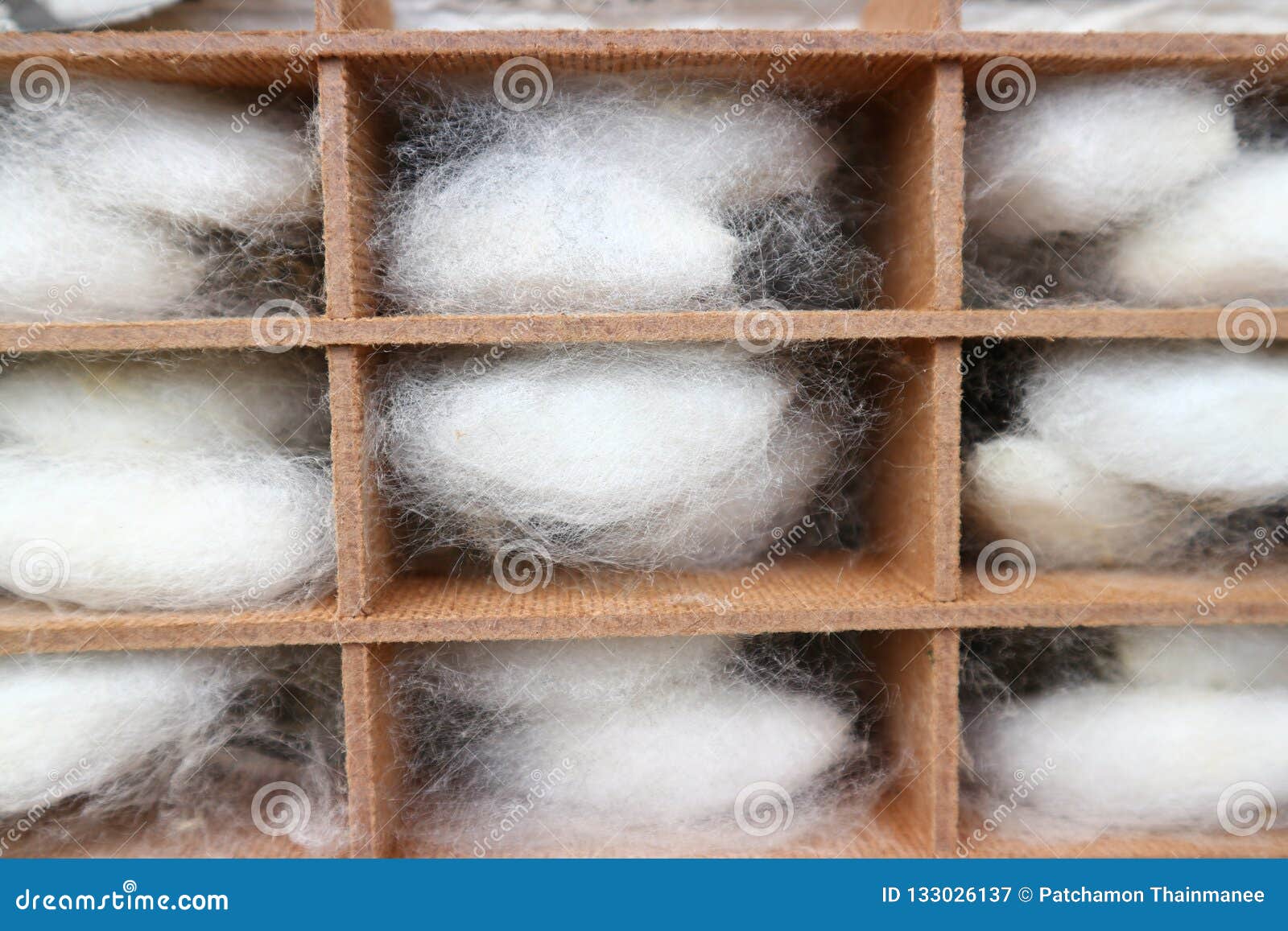 Fibre di seta immagine stock. Immagine di tessitura - 133026137