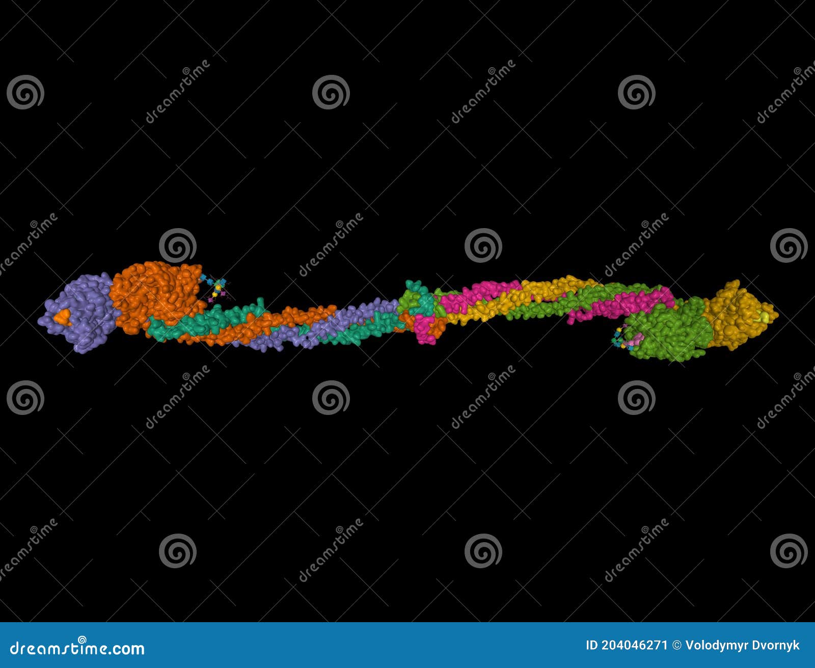Crystal Structure of Human Fibrinogen, 3D Surface Model Stock ...