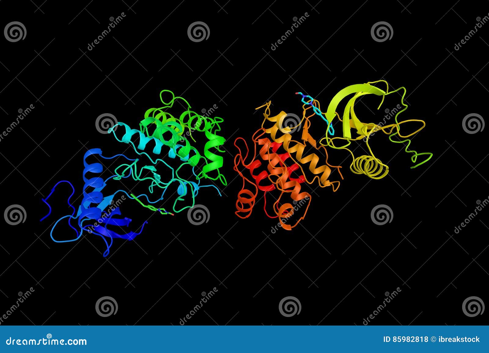 Fibroblast Growth Factor Receptor 1, a Receptor Tyrosine Kinase Stock ...