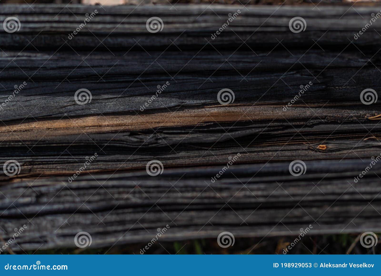 Fibrous Splintered Trunk of Tree Stump. Lines Stock Image - Image of ...