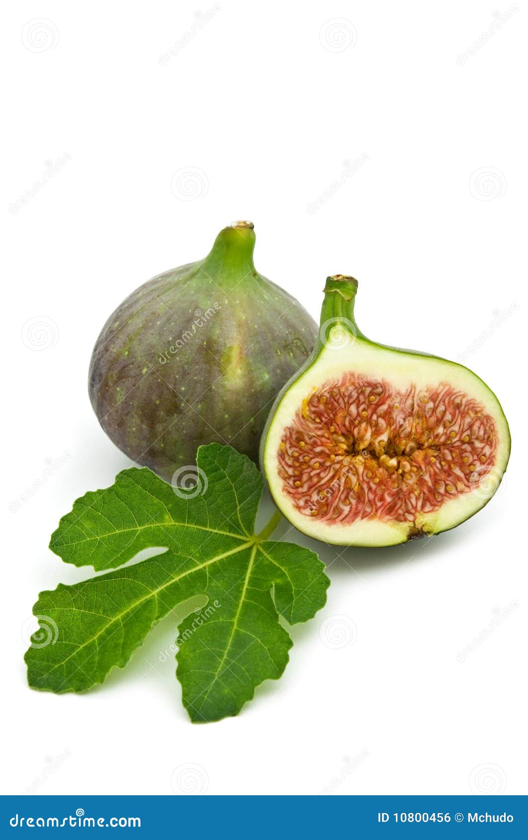 Fichi e foglio freschi fotografia stock. Immagine di viola - 10800456