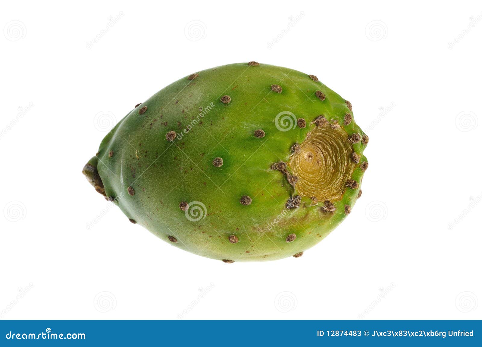 Fico d'India immagine stock. Immagine di botanica, organico - 12874483