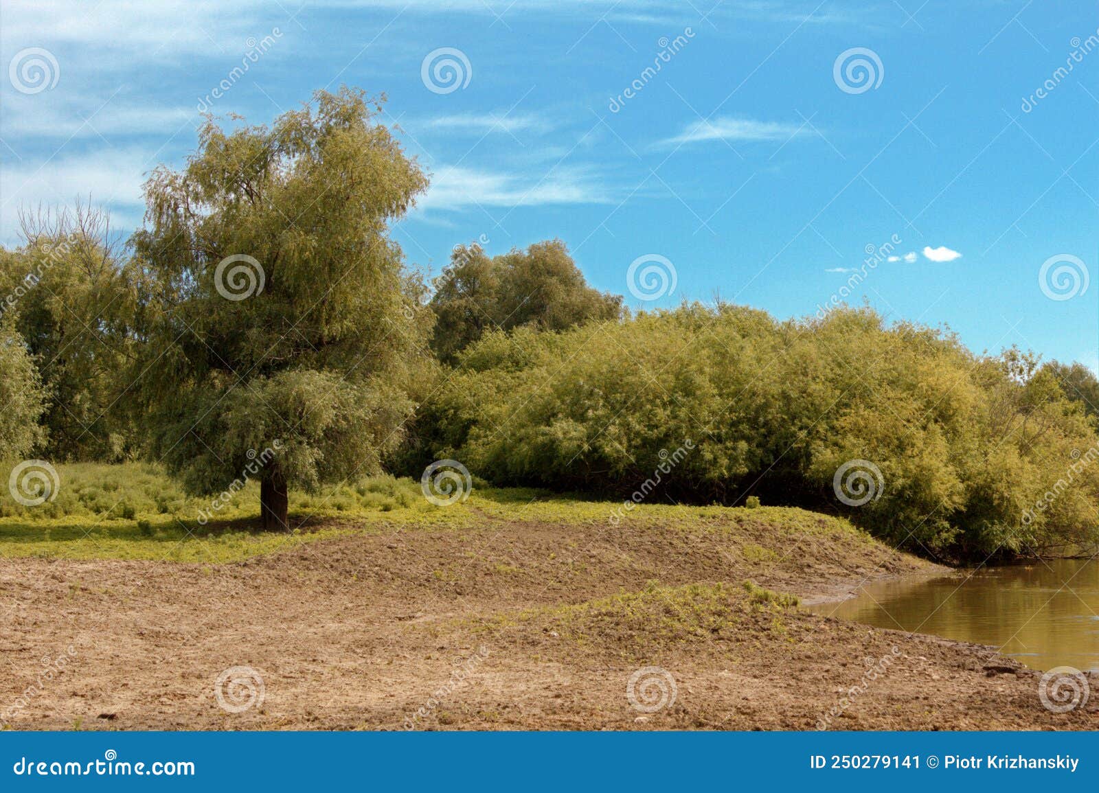 Fictional Pattern for a Tattoo on a Black Background Stock Image ...