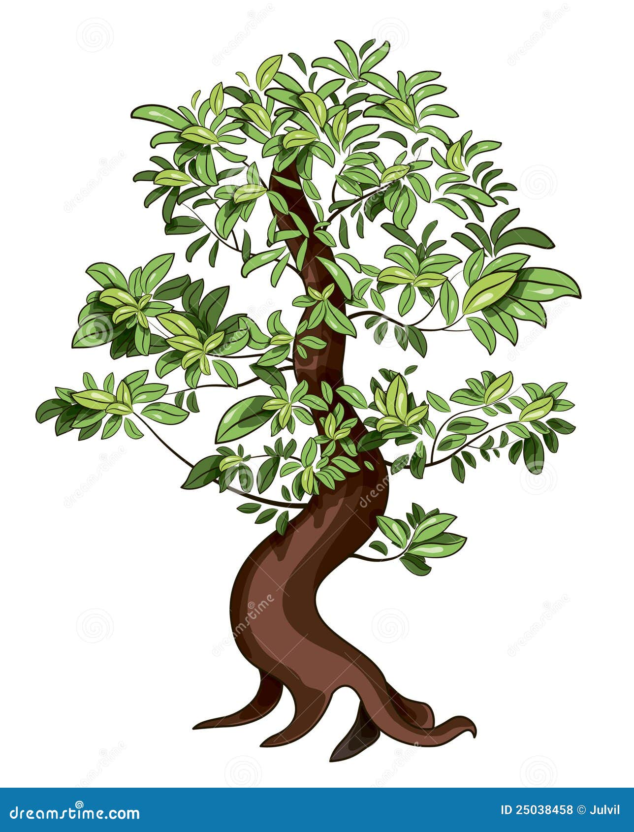 Decorative Ficus Benjamina Tree Top View Vector Illustration ...