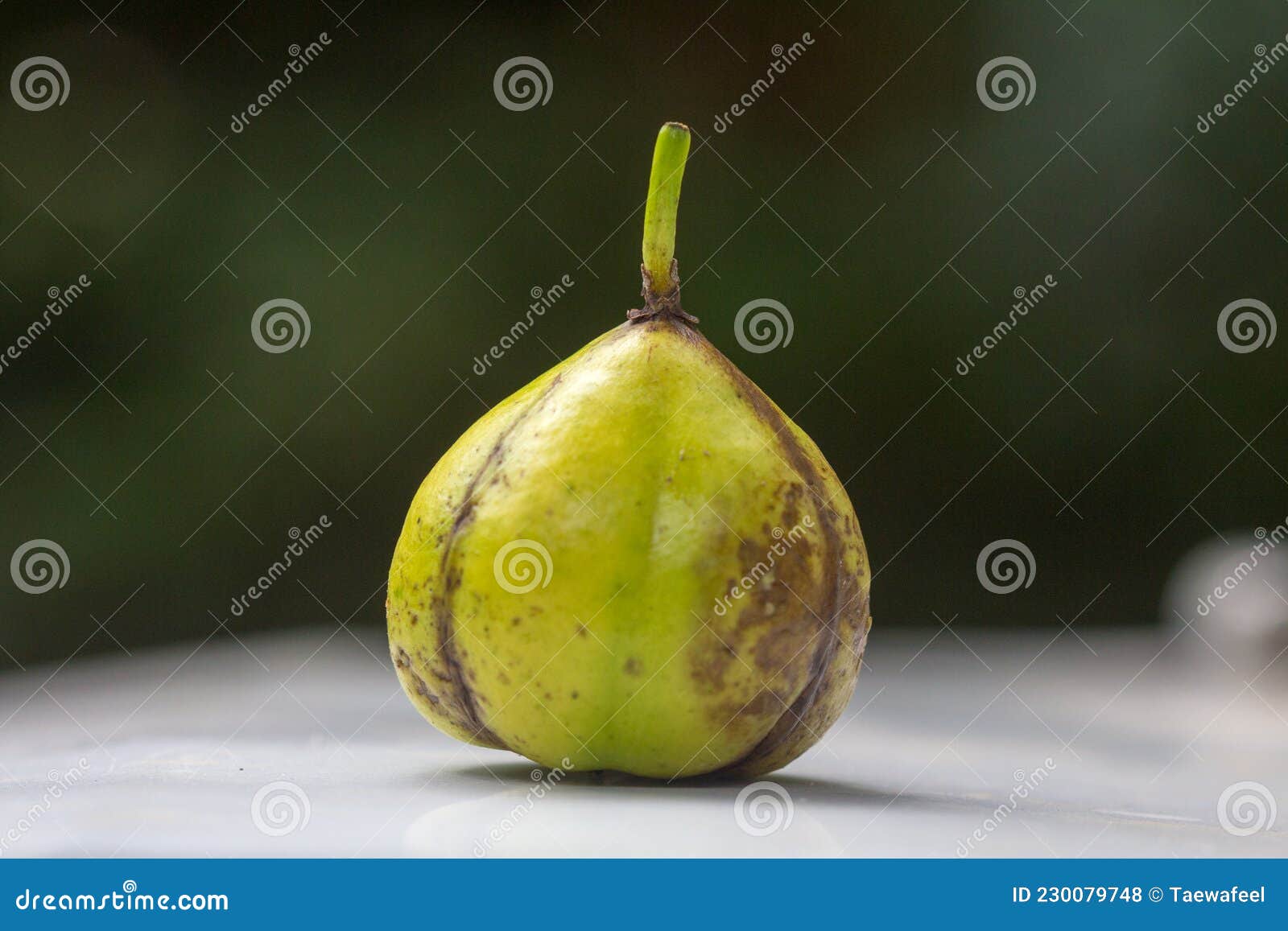 Ficus Carica is a Food of Wild Animals Stock Photo - Image of home ...