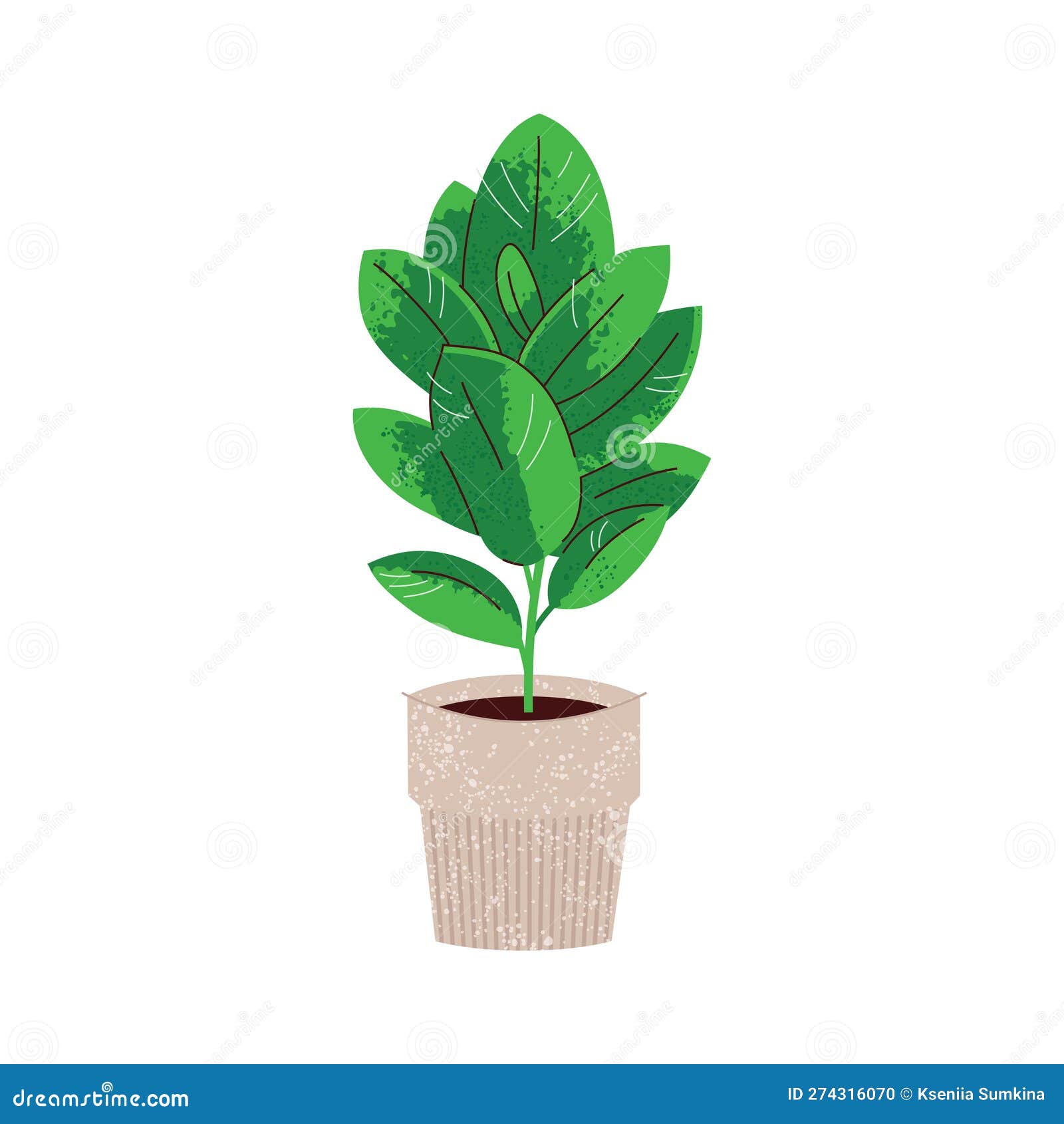 Ficus Plant In Pistachio Pot Isolated On White Background. Hand Draw ...