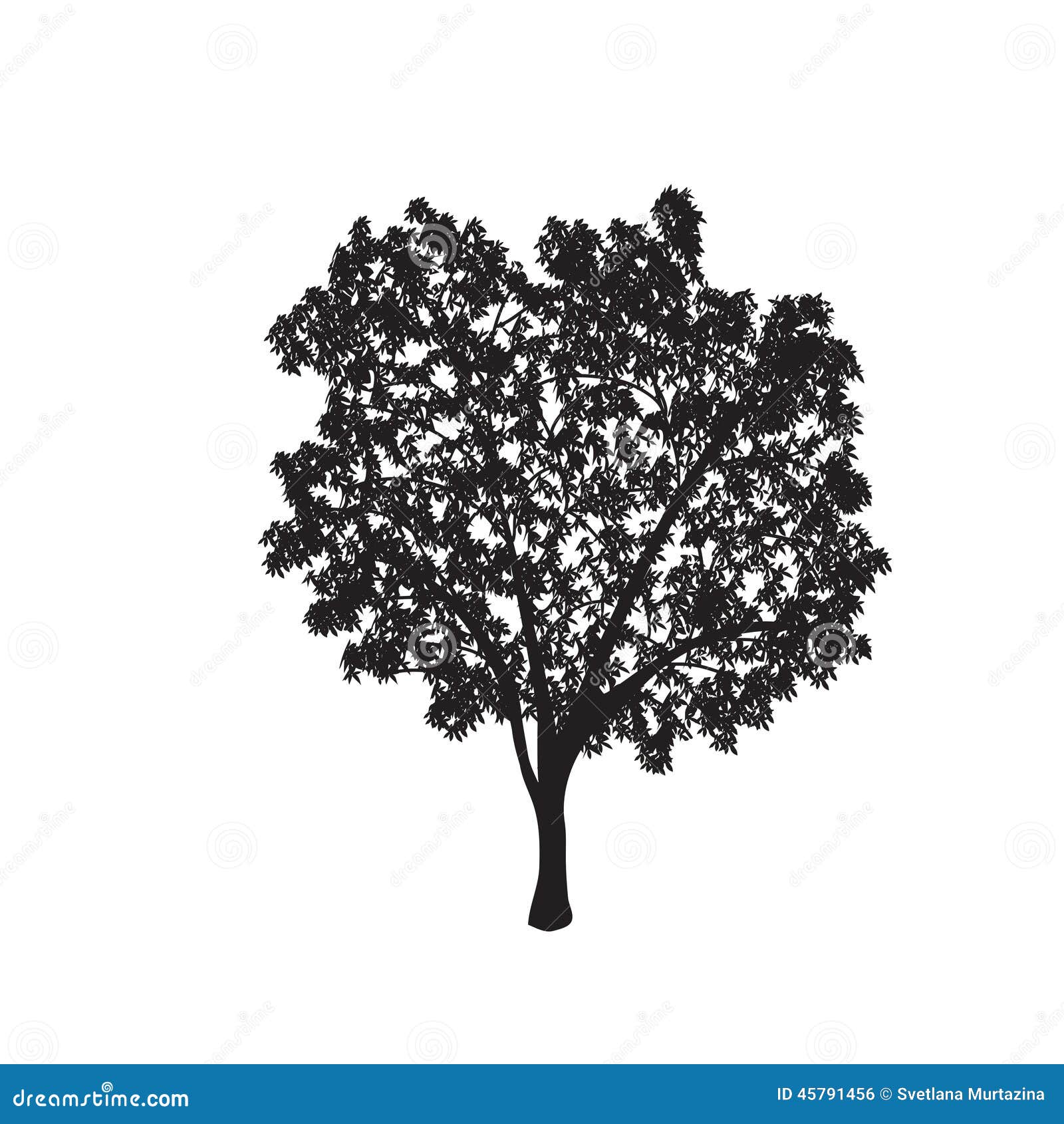 Ficus Tree. Vector Beautiful Houseplant In Ceramic Pot Isolated On Dark ...