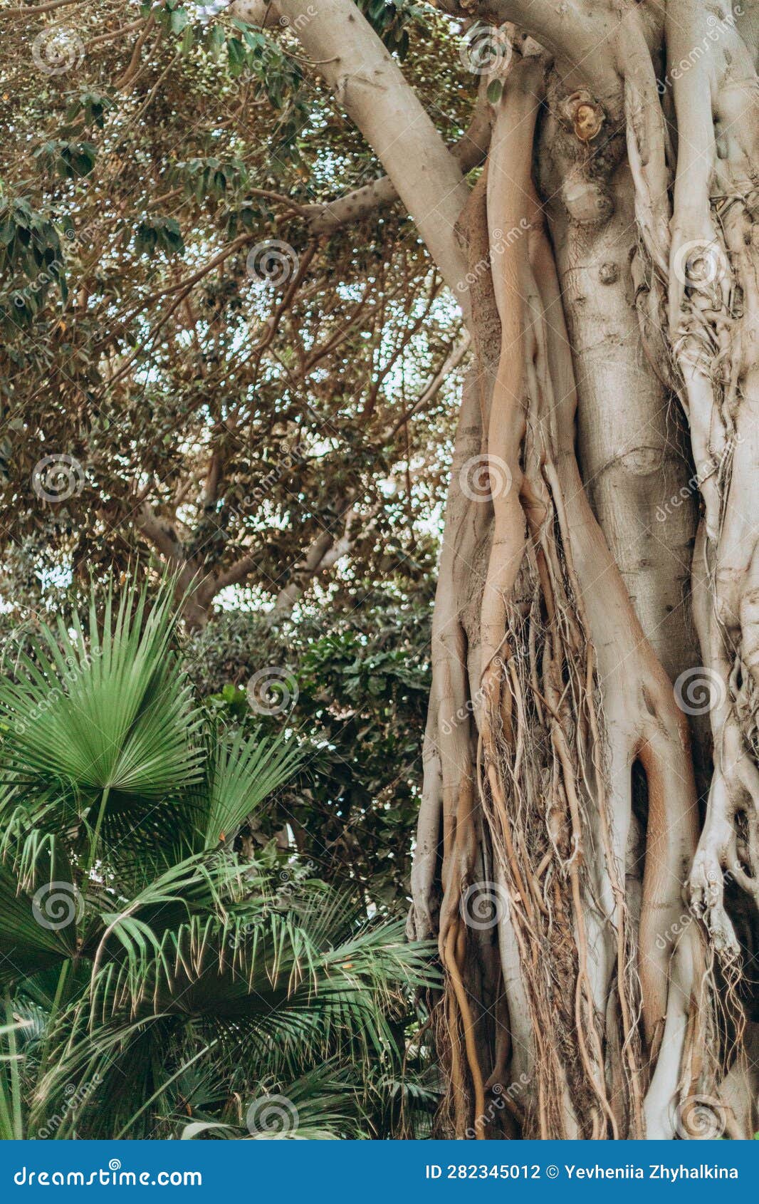 Photo from the Trip in Alicante, Spain Stock Photo - Image of ...