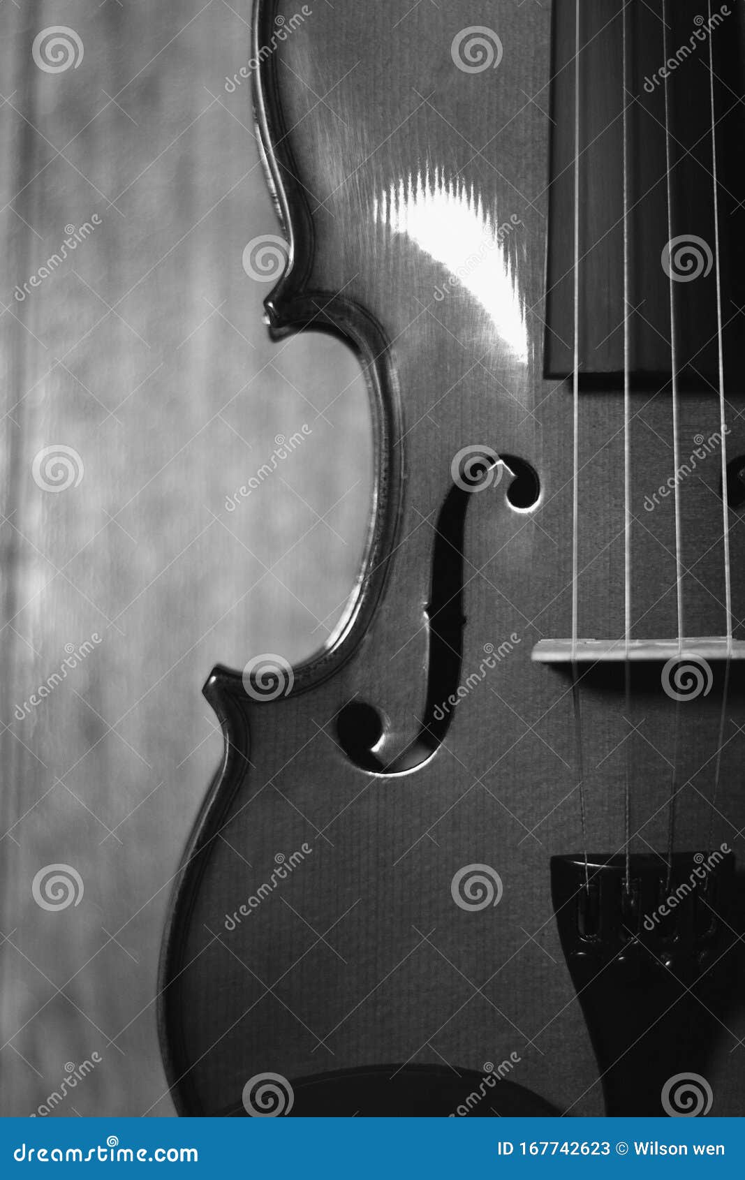 Fiddle Musical Instrument Four String Black and White Style 库存图片 - 图片 ...