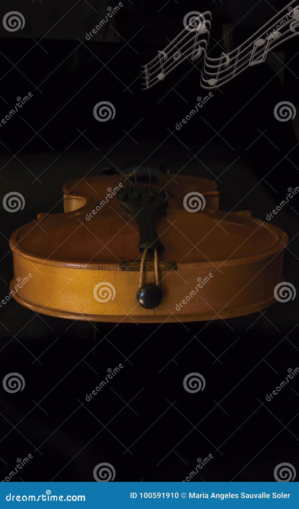 Fiddle. stock photo. Image of violin, musical, delicate - 100591910