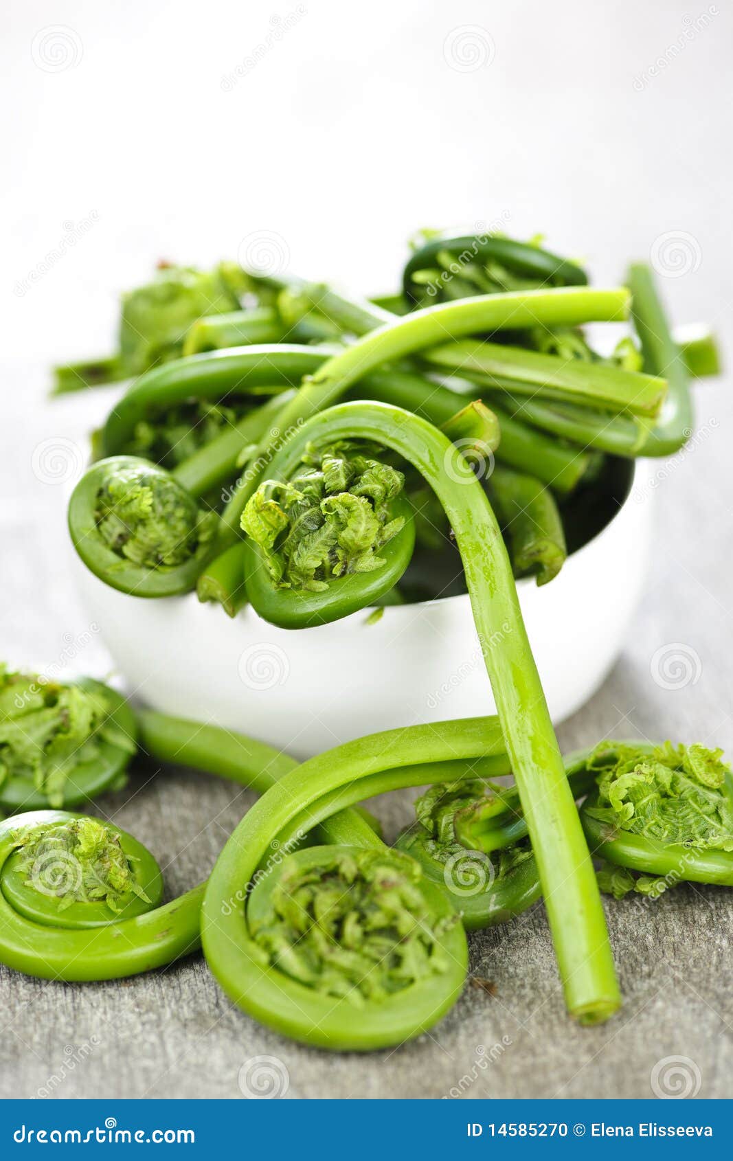 Fiddleheads stock photo. Image of fiddlehead, fern, ingredient - 14585270