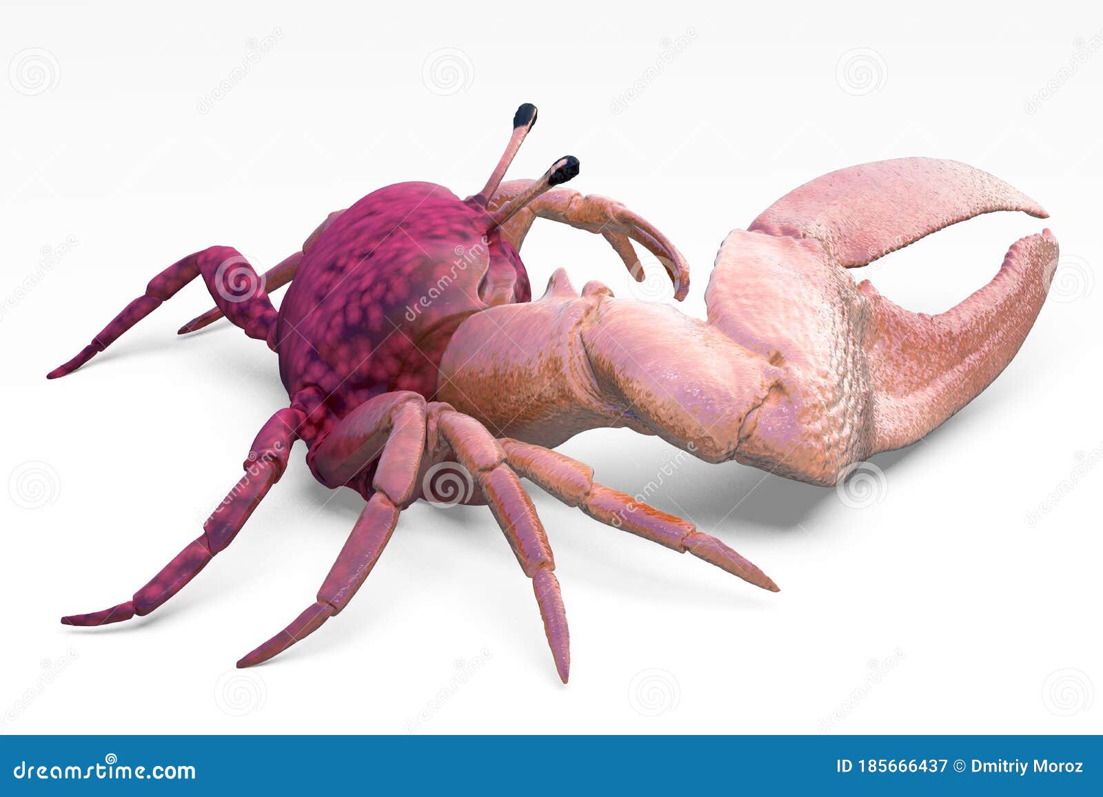 Fiddler Crab. Logo. Isolated Crab On White Background Vector ...