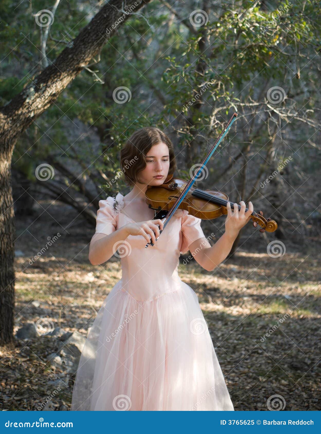 Fiddling in the Forest stock image. Image of innocence - 3765625