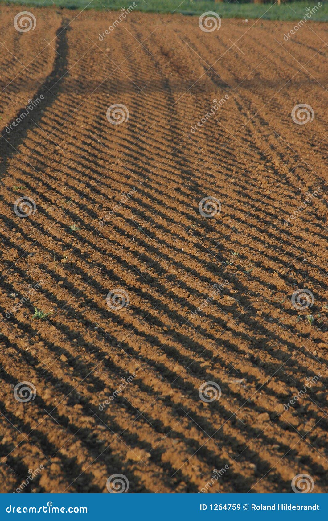 The field stock image. Image of weath, acre, sowing, stone - 1264759