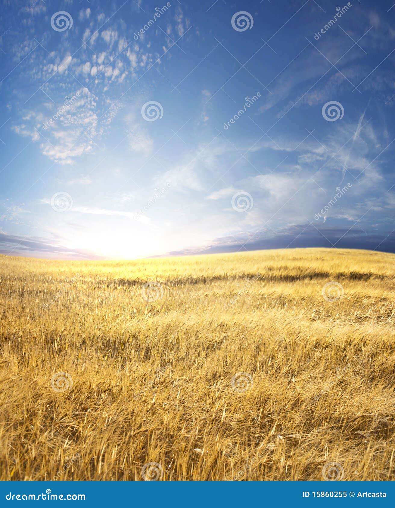 Field stock image. Image of environment, country, outdoor - 15860255