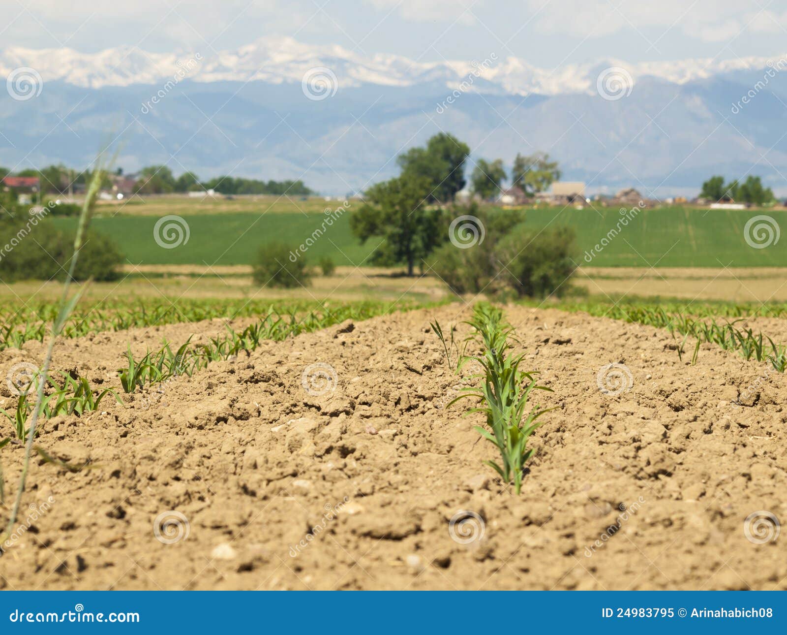 Field stock image. Image of rows, agriculture, plow, colorado - 24983795