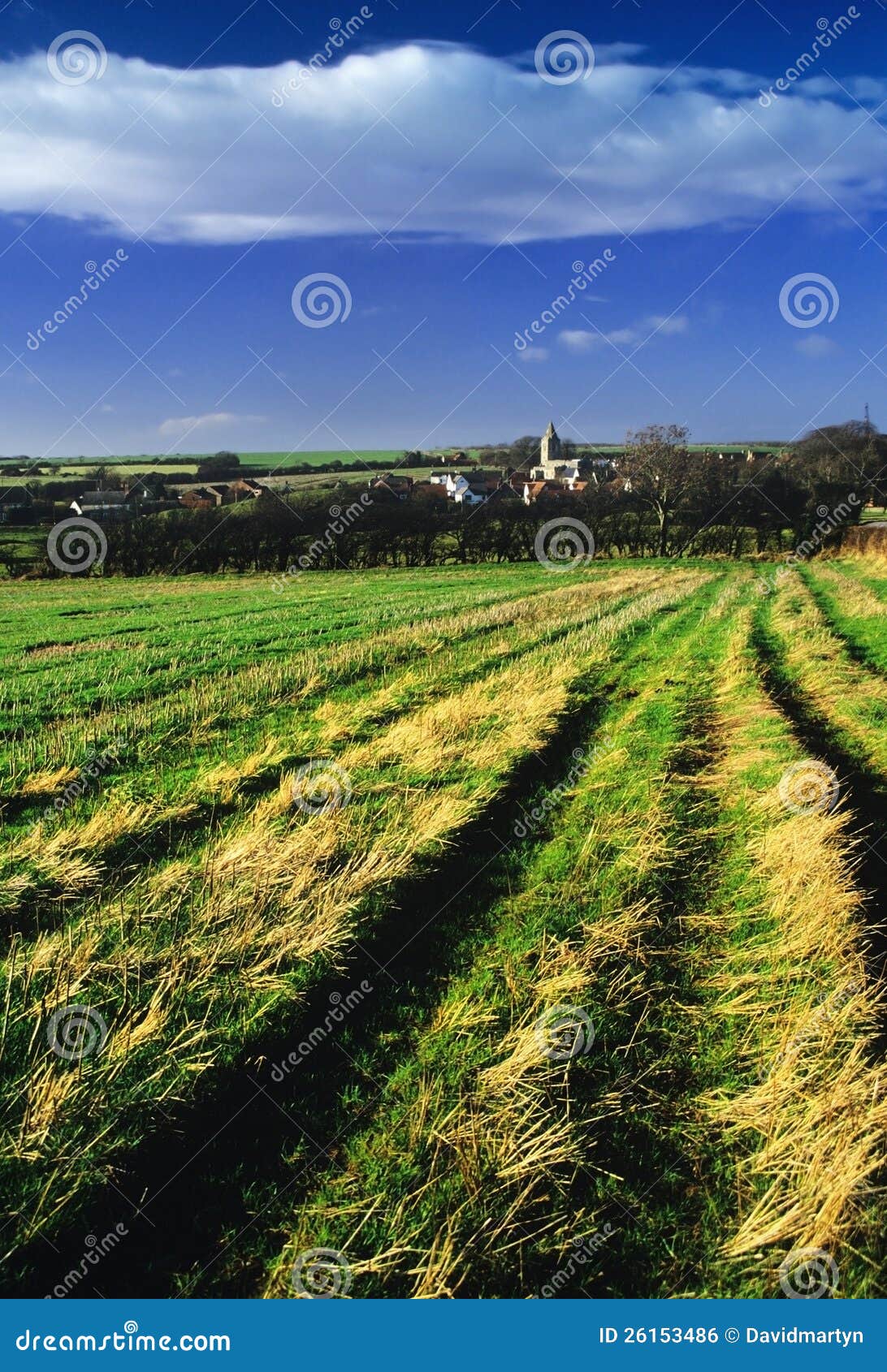 Field stock photo. Image of english, countryside, great - 26153486