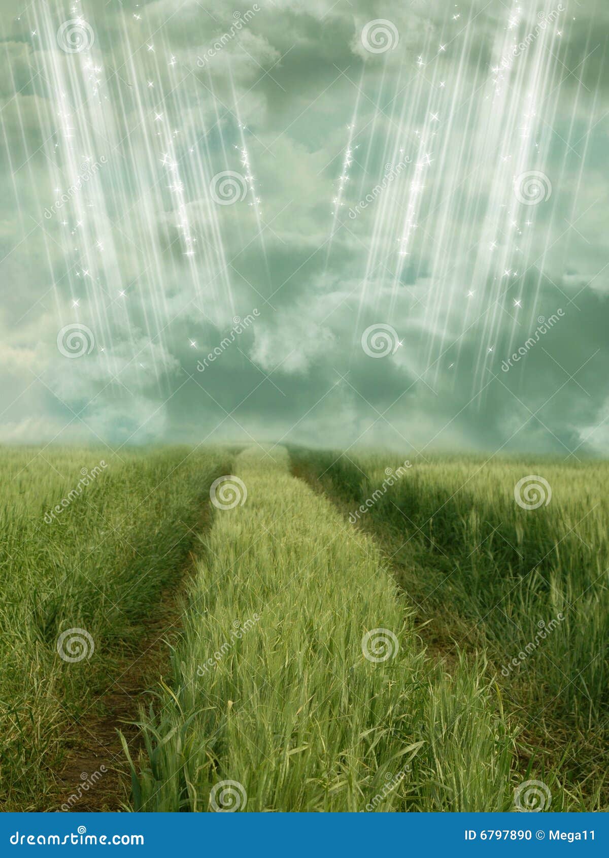 Field stock photo. Image of misty, lighting, amazing, dreamy - 6797890