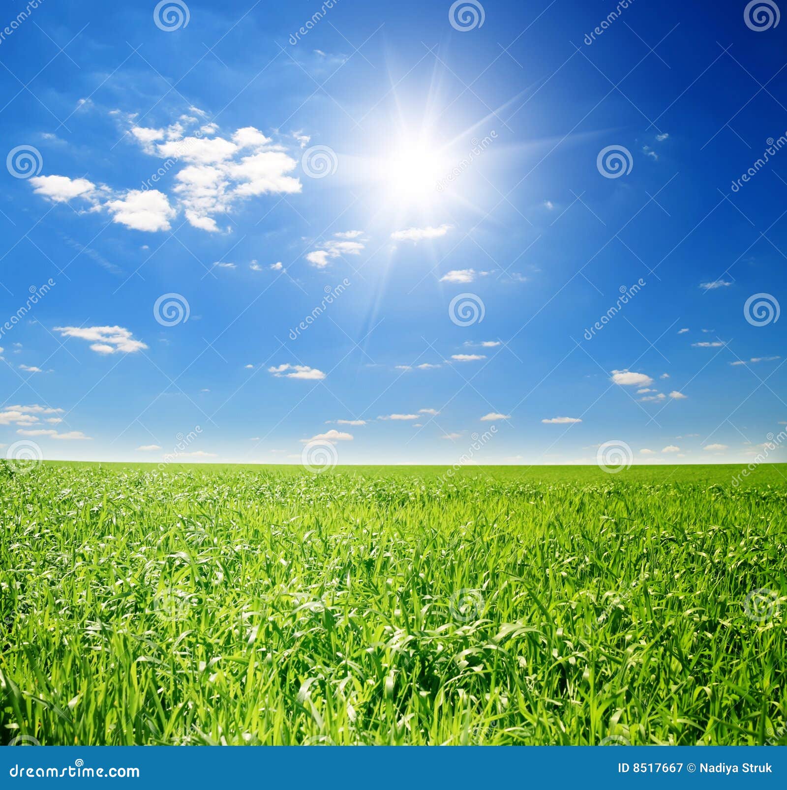 Field stock image. Image of farm, outside, vegetation - 8517667