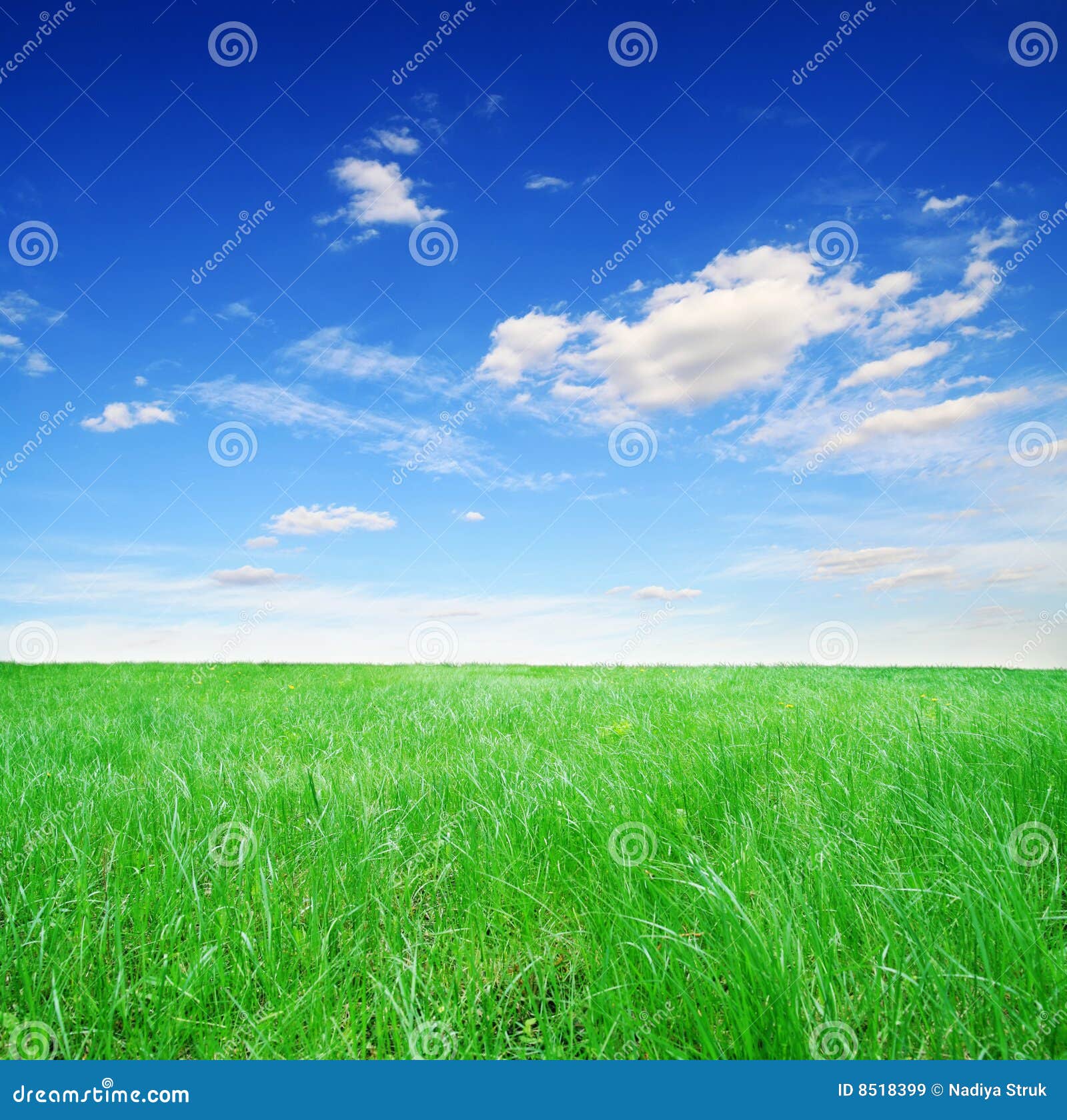 Field stock image. Image of meadow, season, sunny, environment - 8518399
