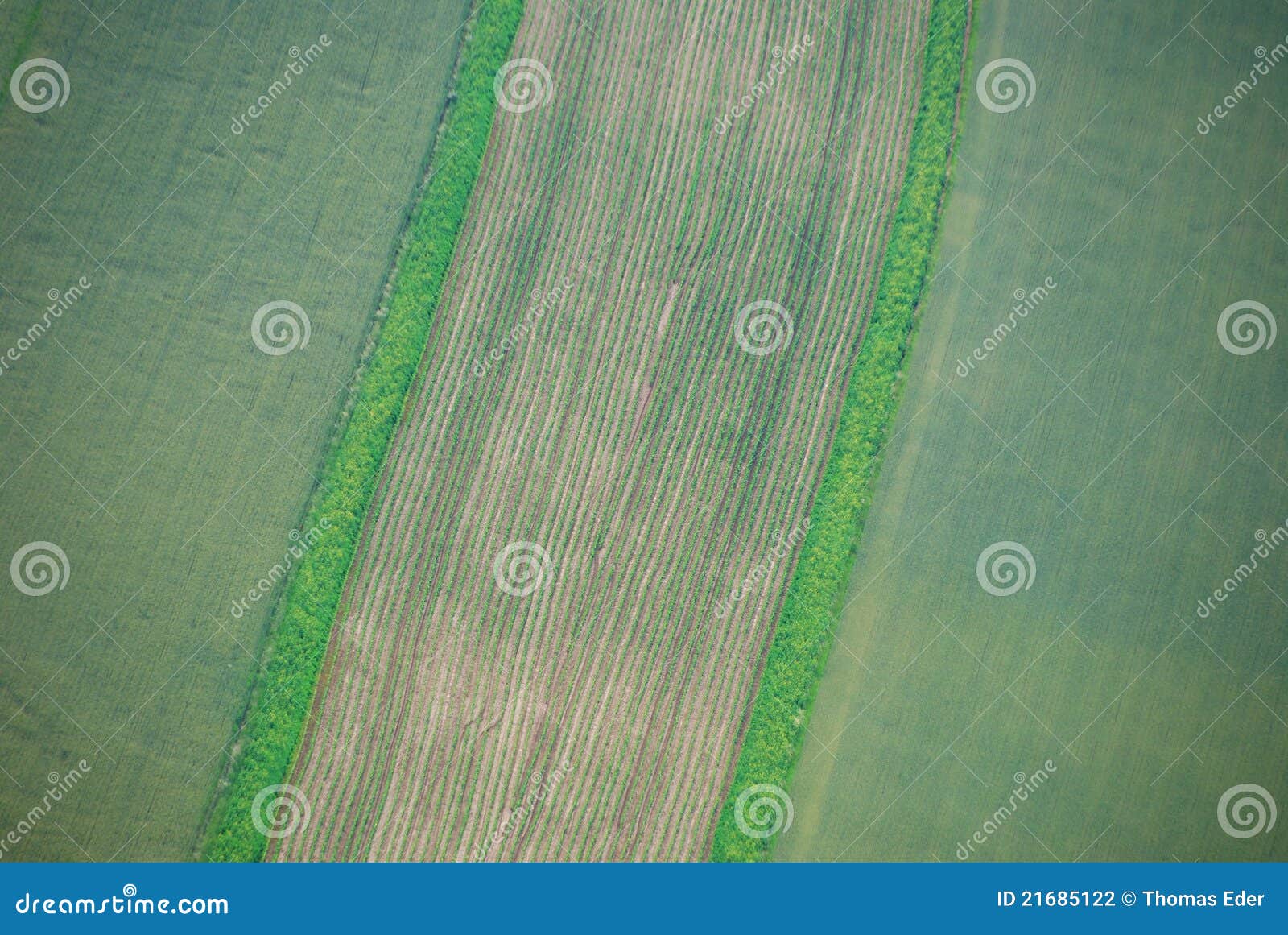 Field from above stock photo. Image of cloudscape, farm - 21685122
