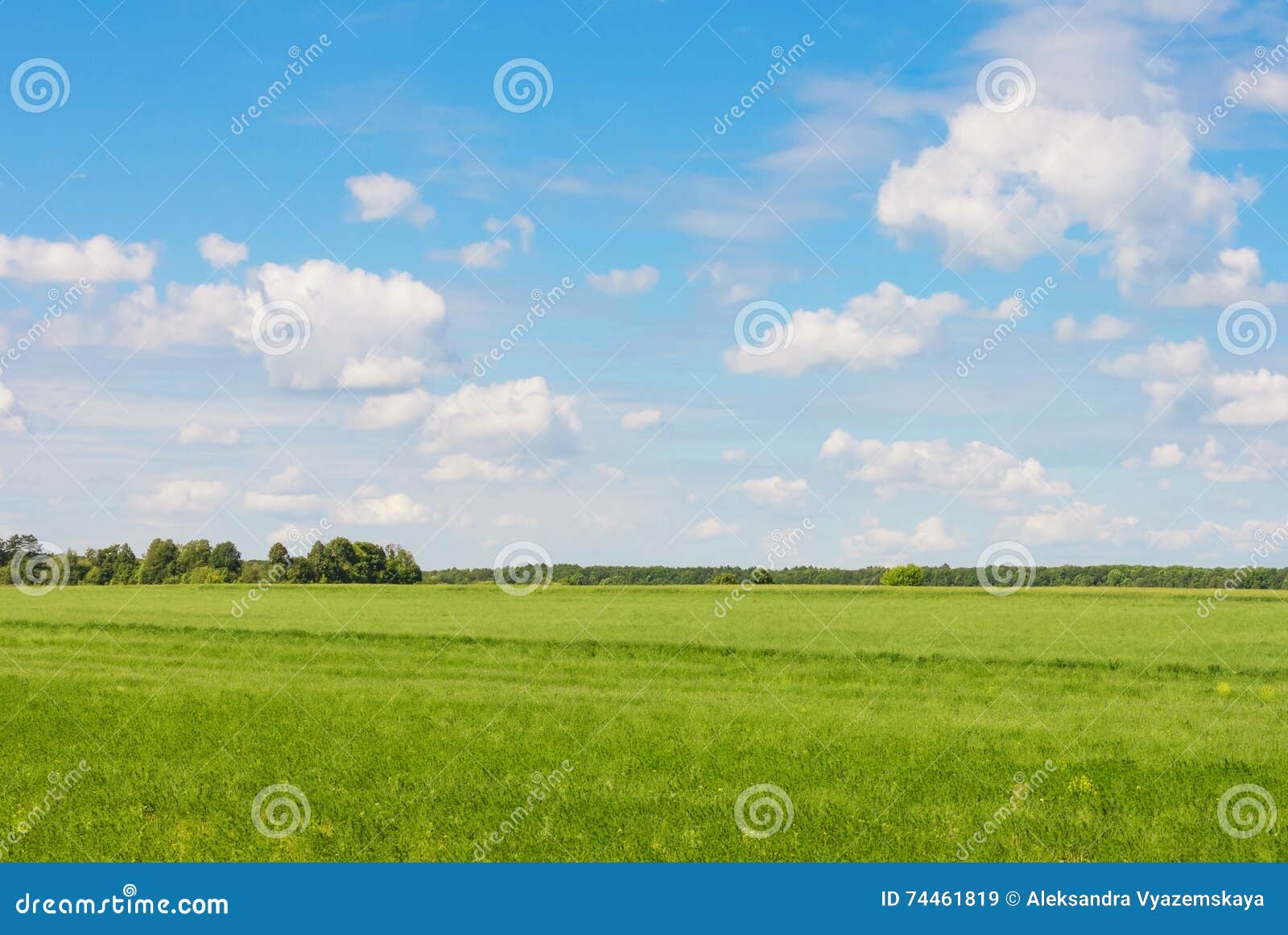 Field Against the Sky with Clouds and Forests Stock Image - Image of ...