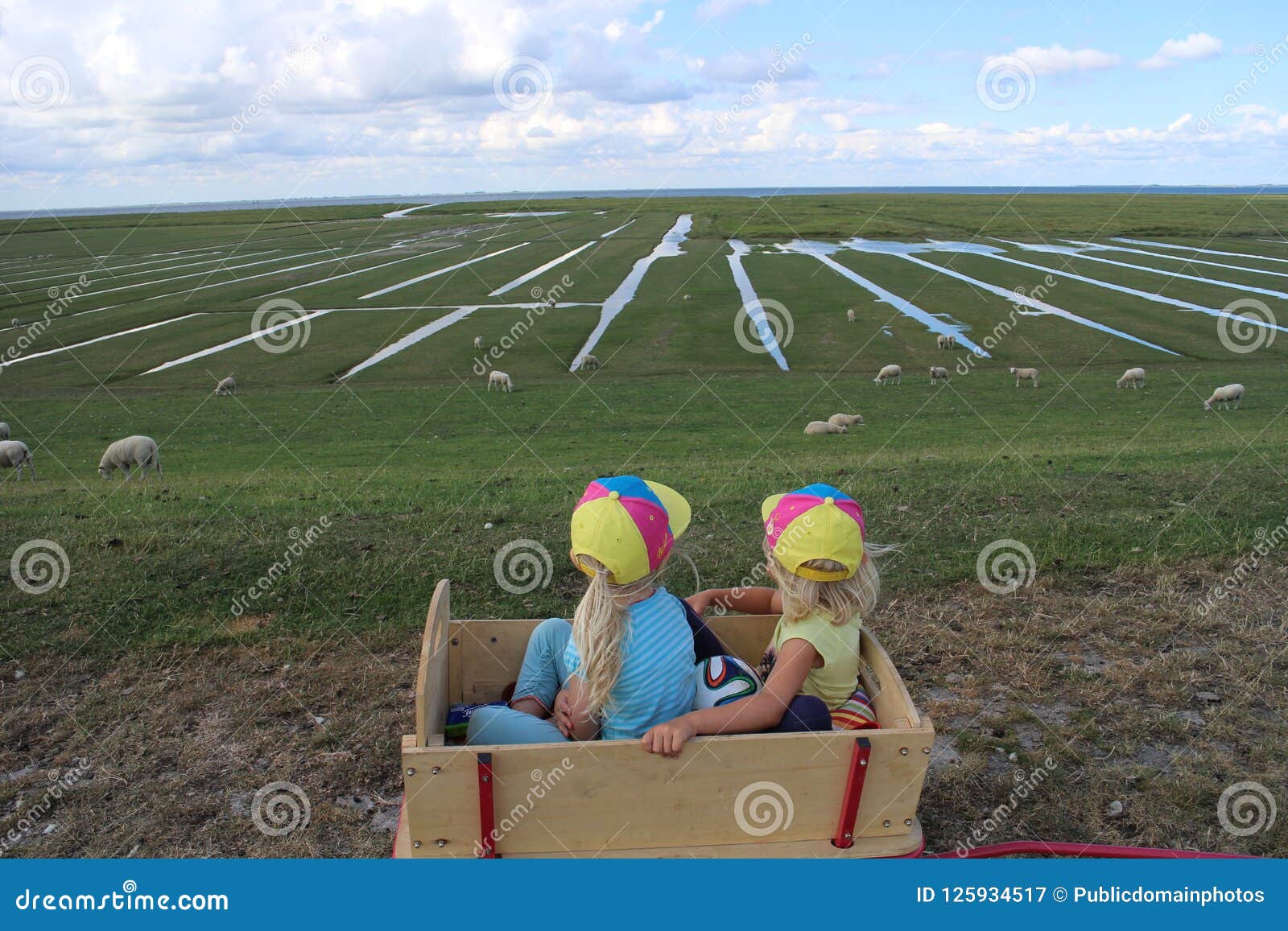 Field, Agriculture, Crop, Farm Picture. Image: 125934517